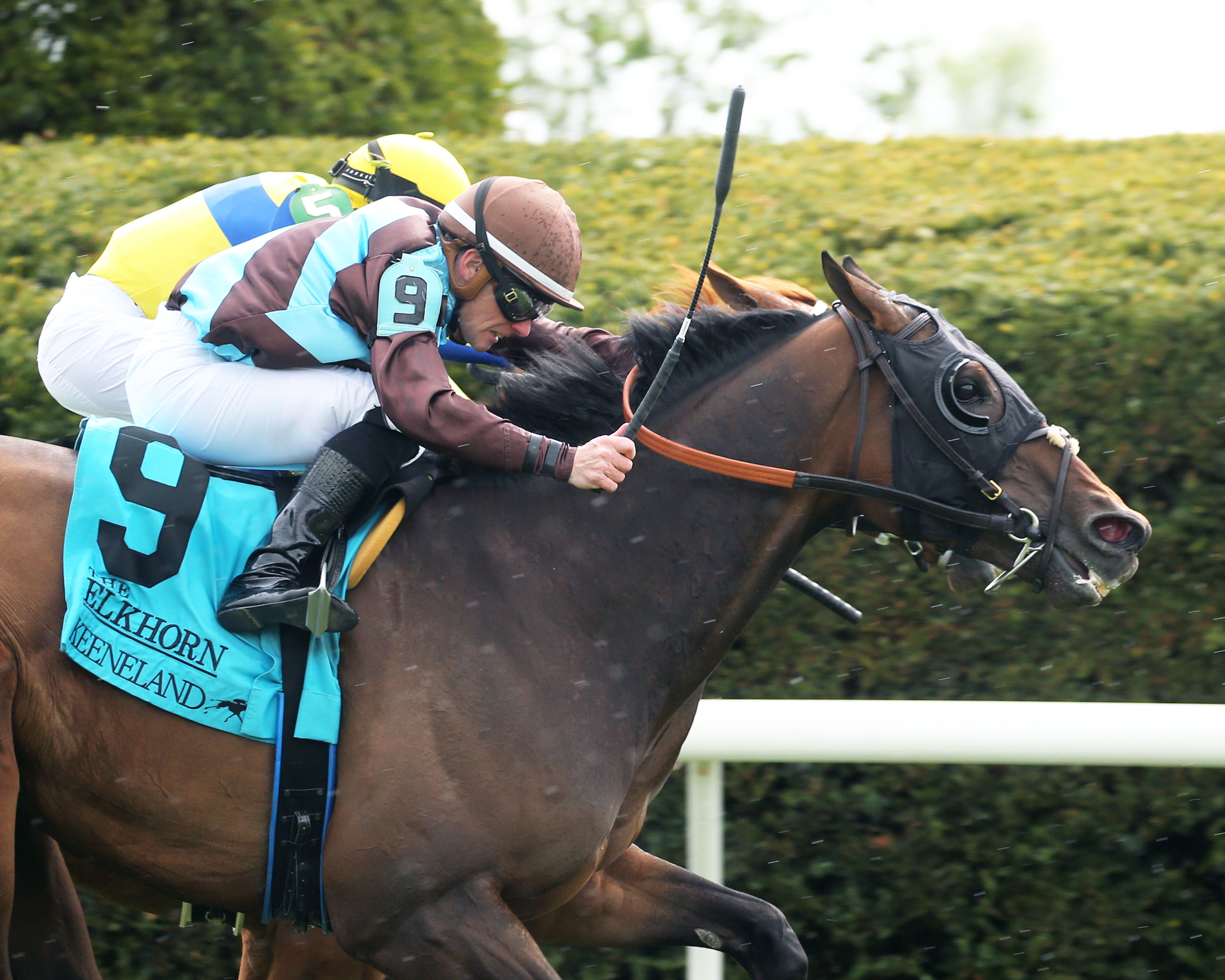 Appleby sends out Warren Point in Man o' War redo