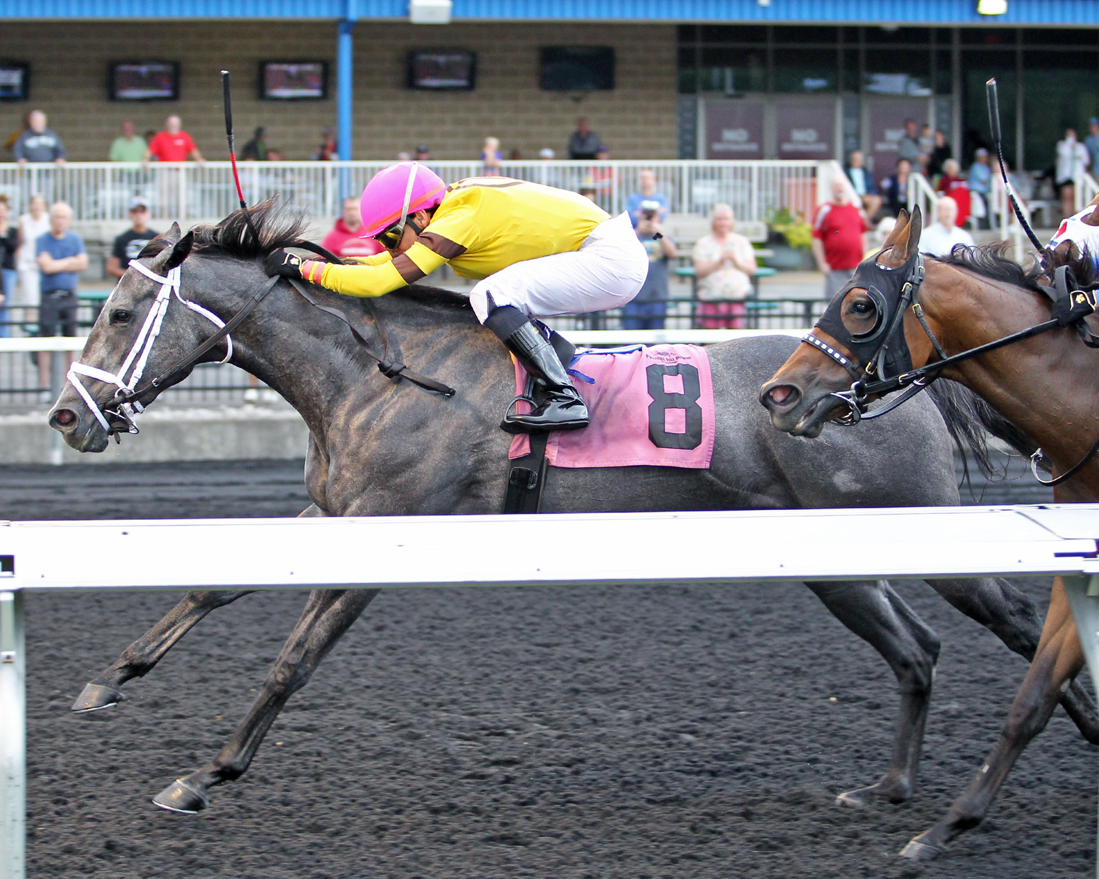 Presque Isle Downs | Horse Racing Track News | DRF