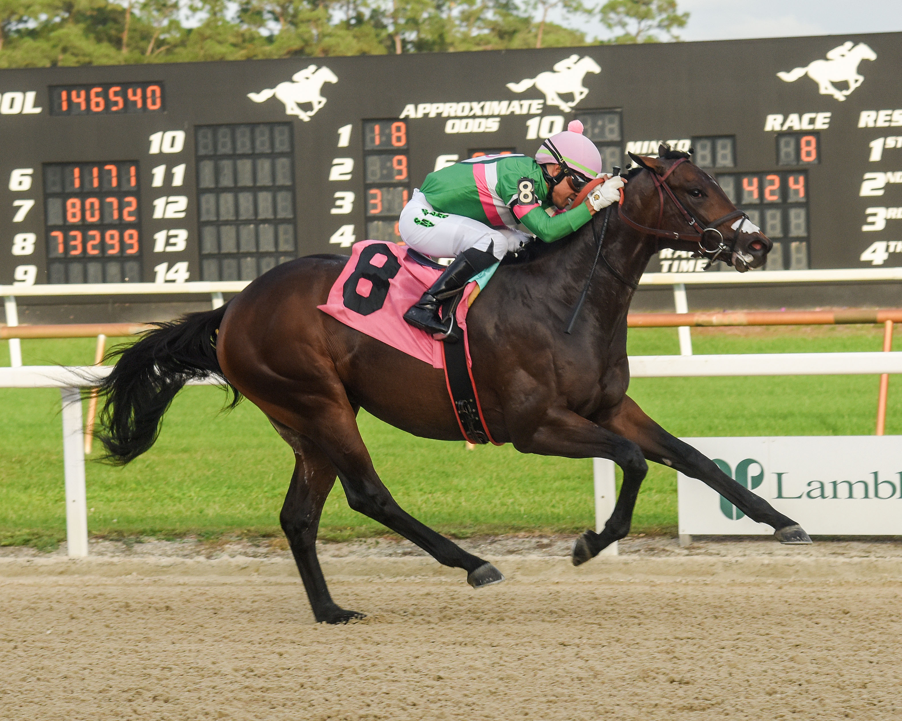 Patriot Spirit finds first stakes victory in Inaugural