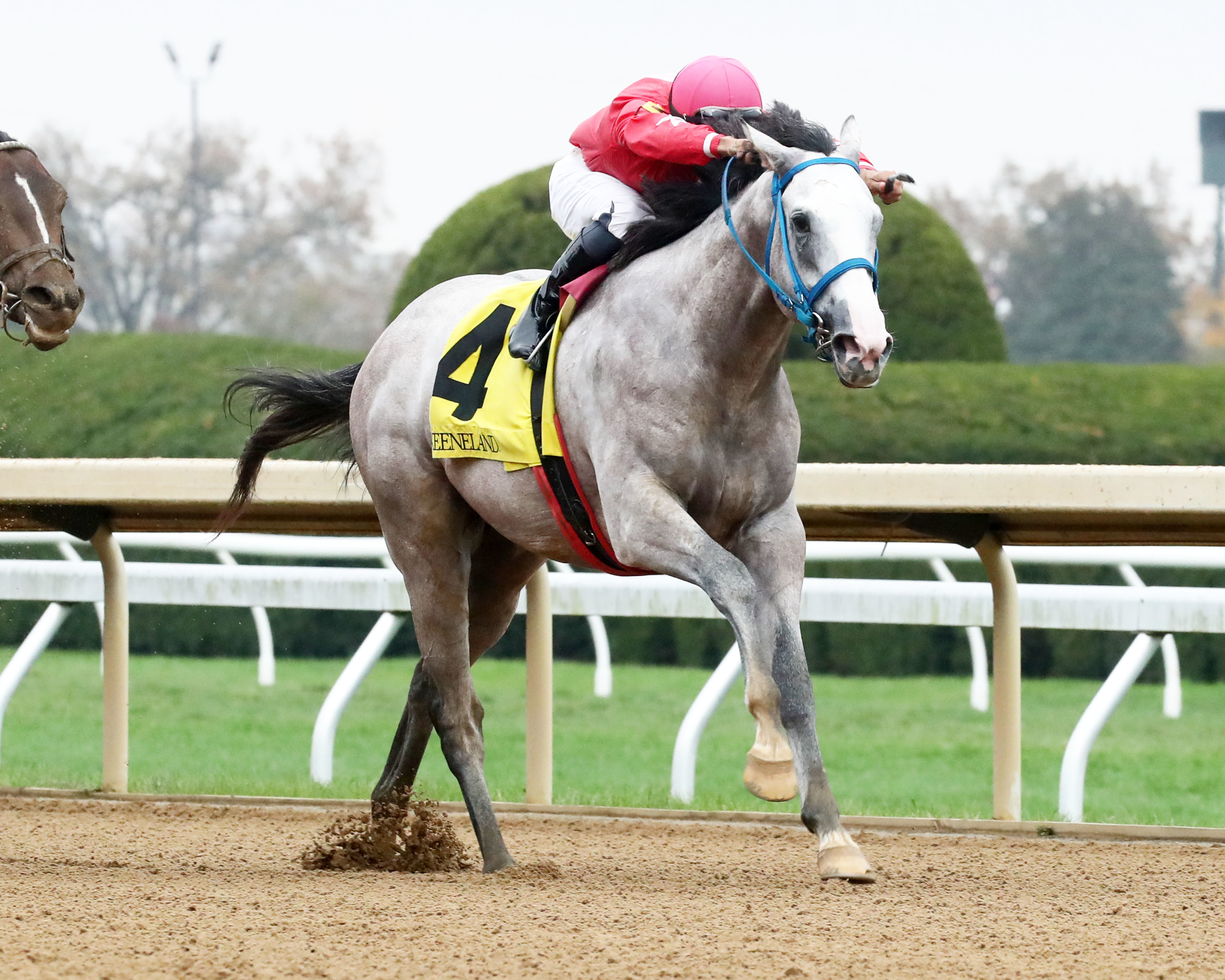 Glengarry nears return to racing