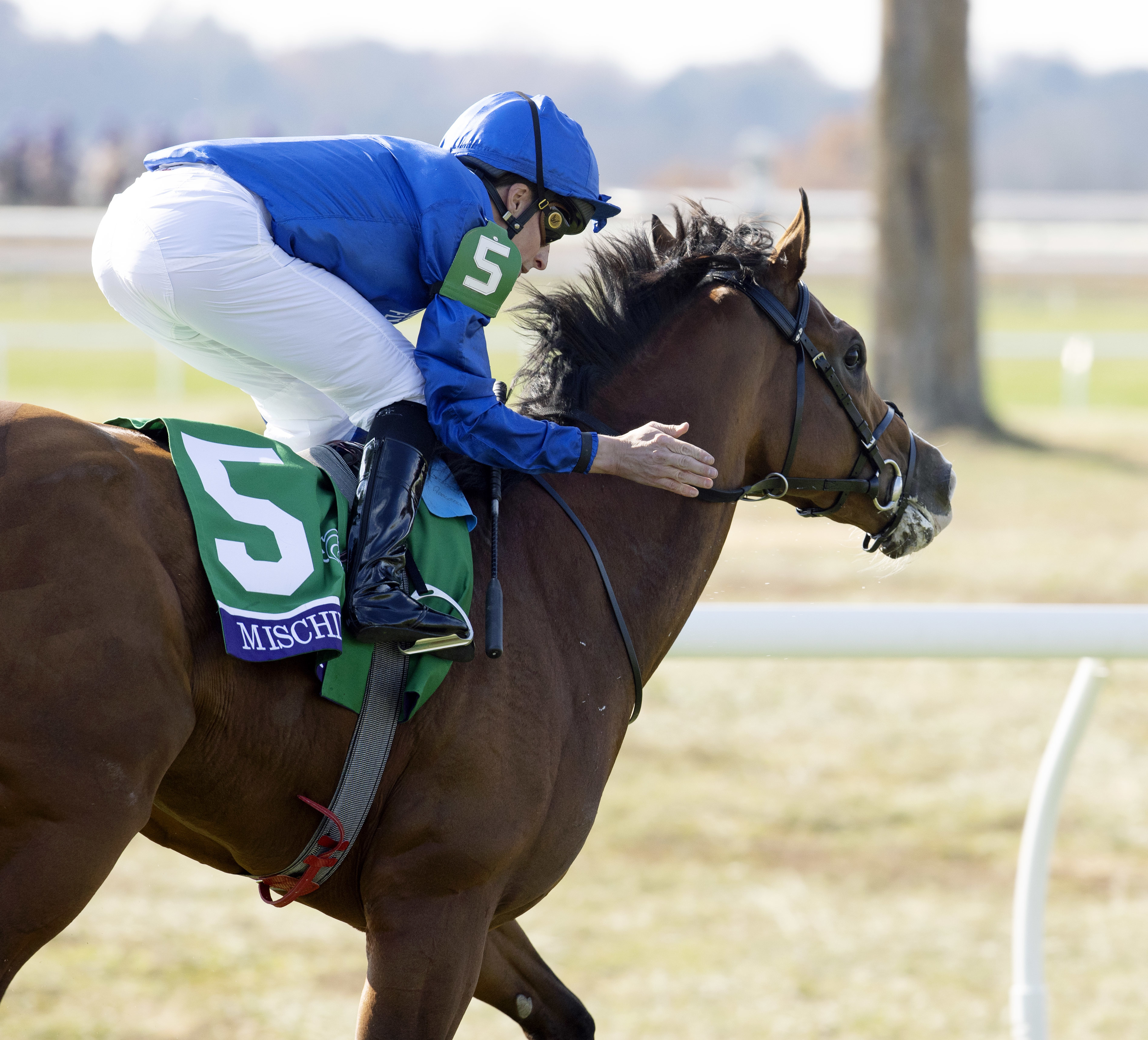 Mischief Magic returns to Keeneland for Shakertown