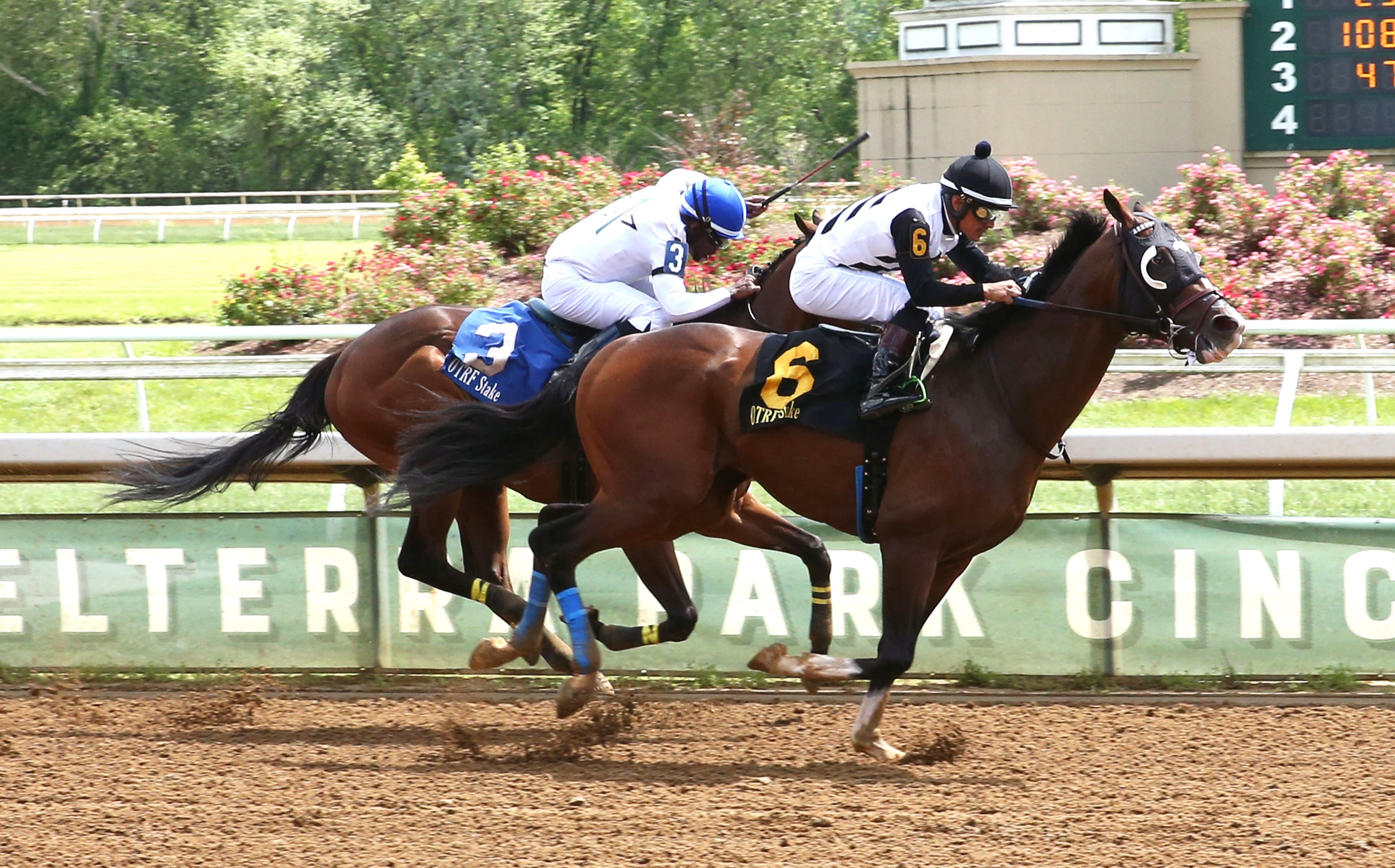 Belterra Park Racetrack: Live Horse Racing News & Schedule
