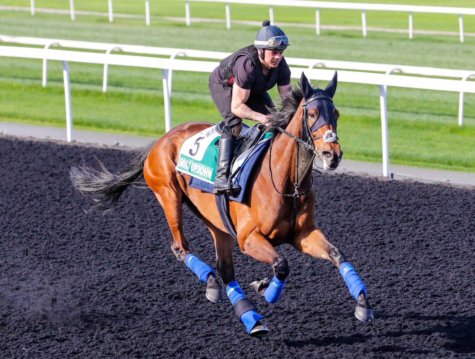 Breeders' Cup Turf: Gosden keeping Emily Upjohn at her best distance