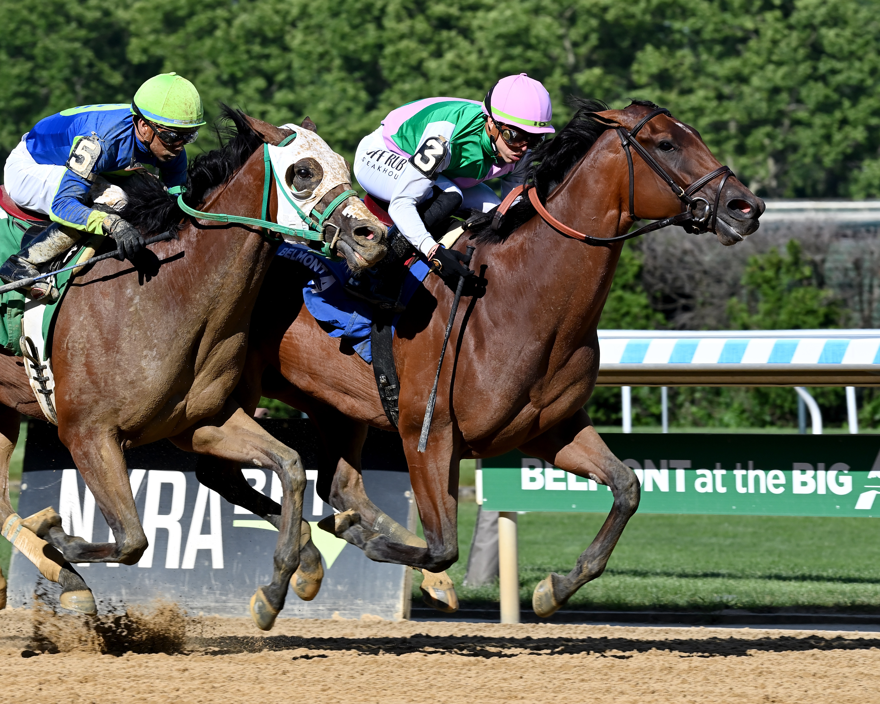 Accede extends win streak with Bed O' Roses