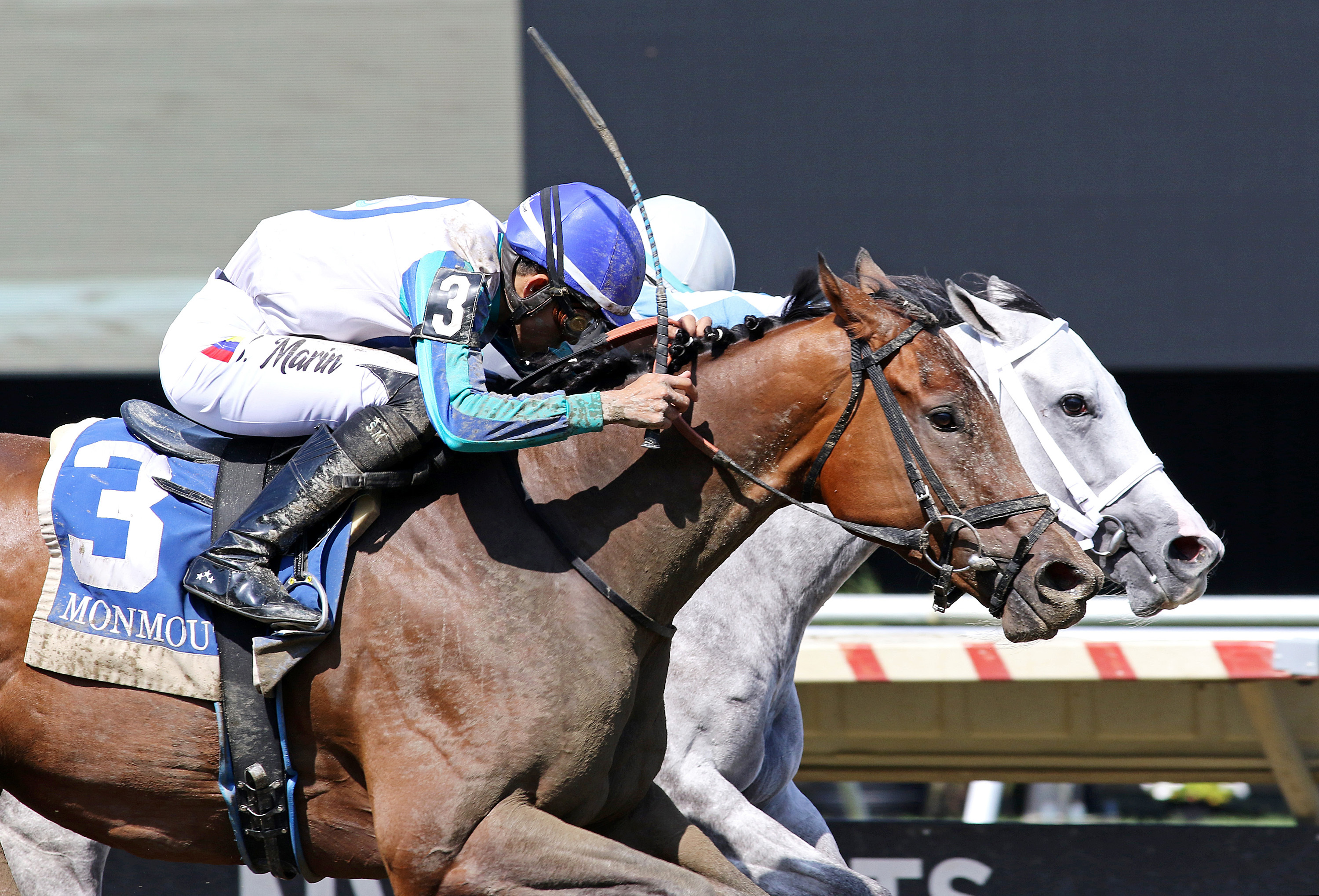 Charles Town Picks, Live Horse Racing Track News, & More | DRF