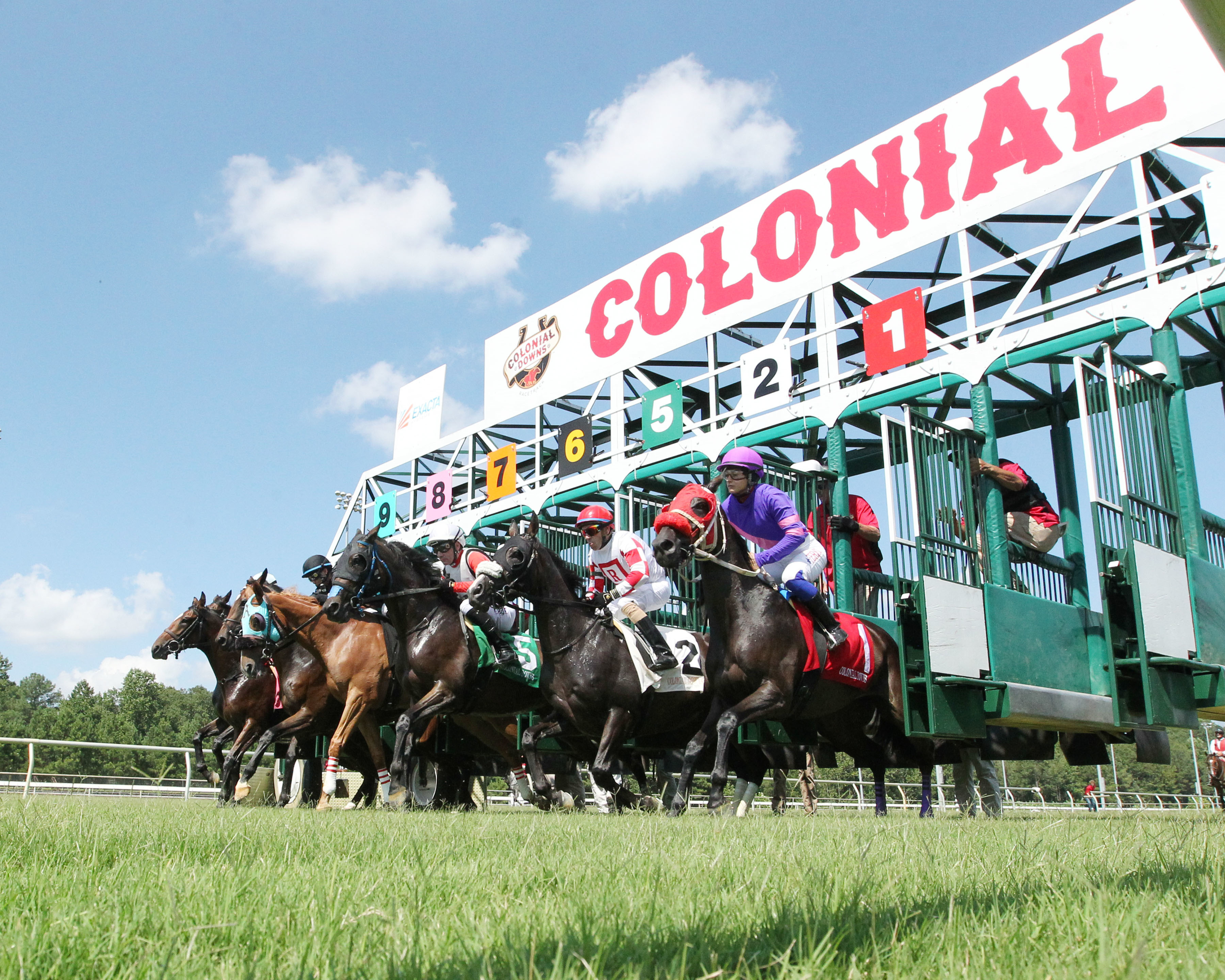 Colonial Downs | Horse Racing Track News | DRF