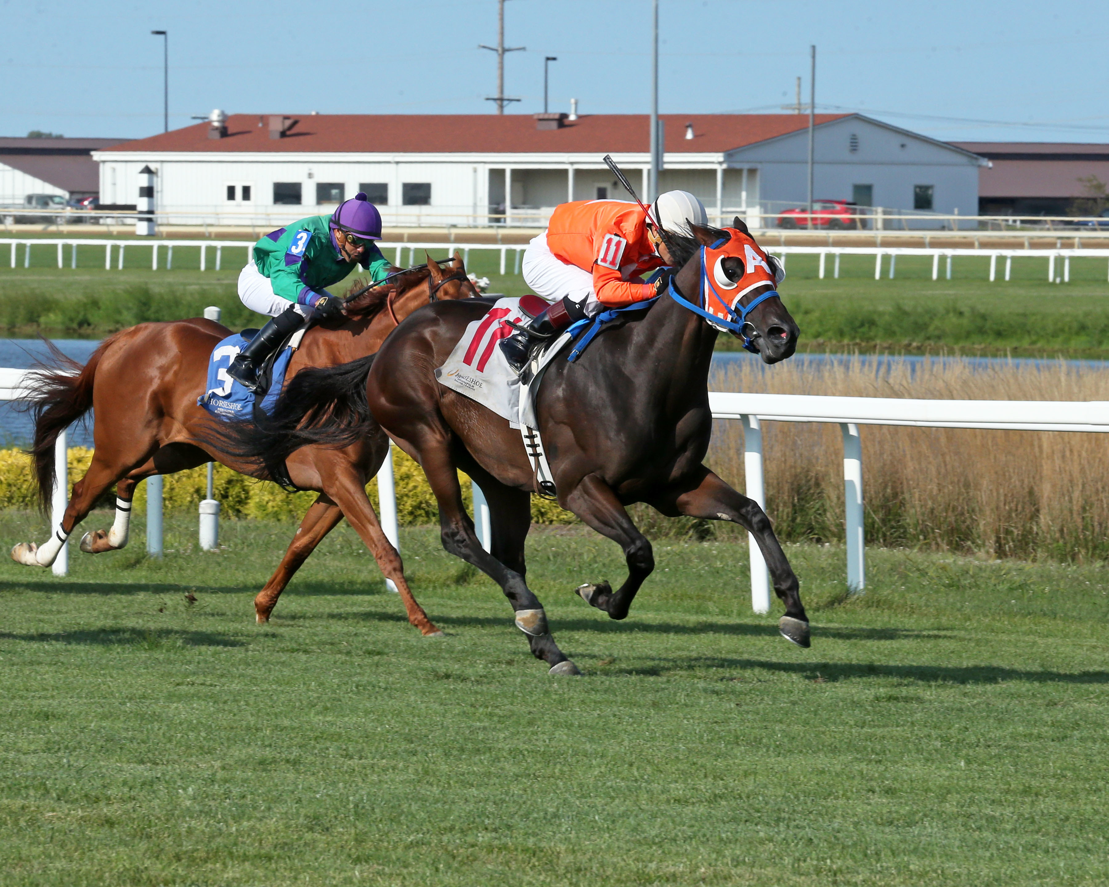 Horseshoe Indianapolis Racetrack Picks & Live Racing News | DRF