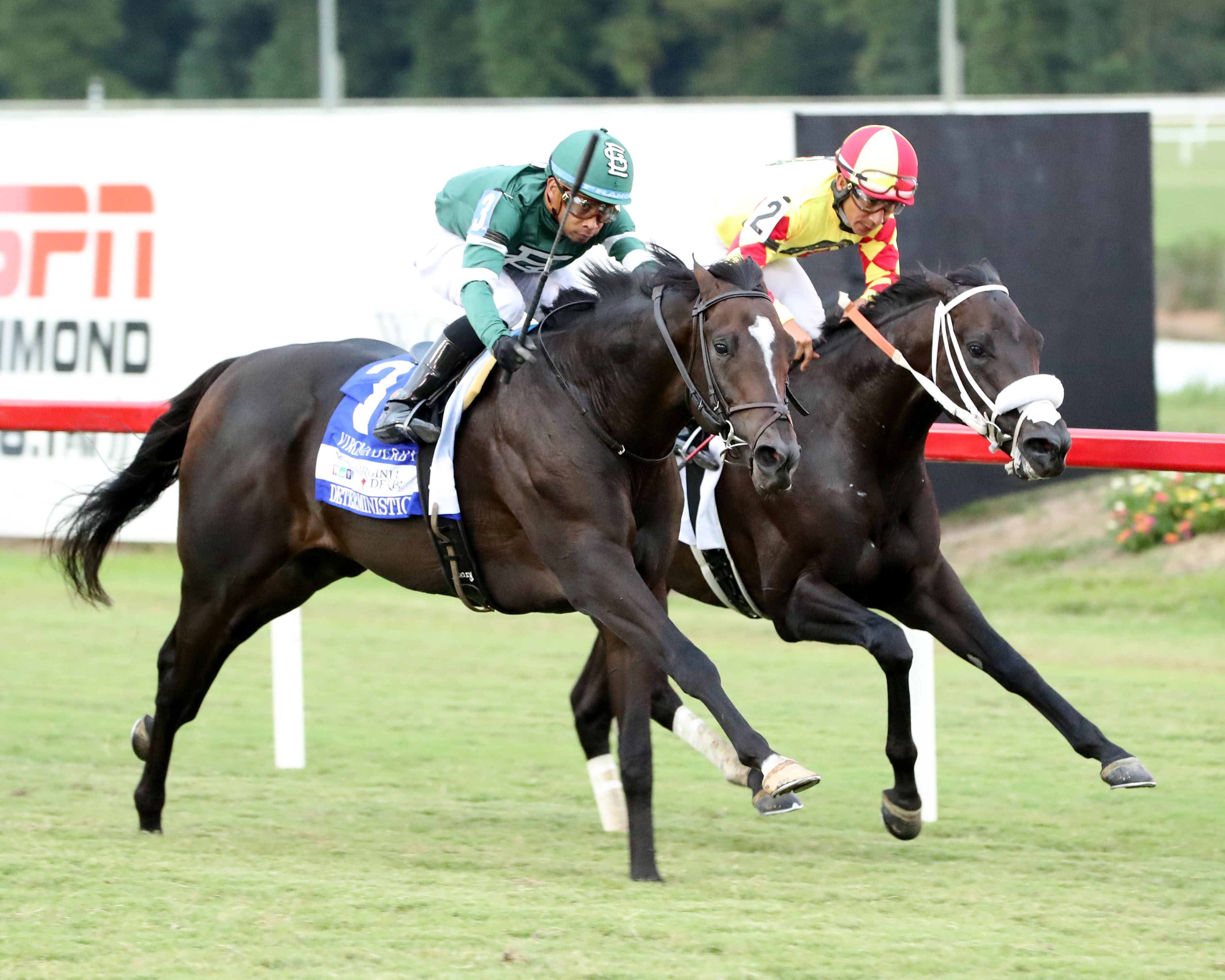 Colonial Downs Racetrack Picks, Horse Racing Schedule, & News