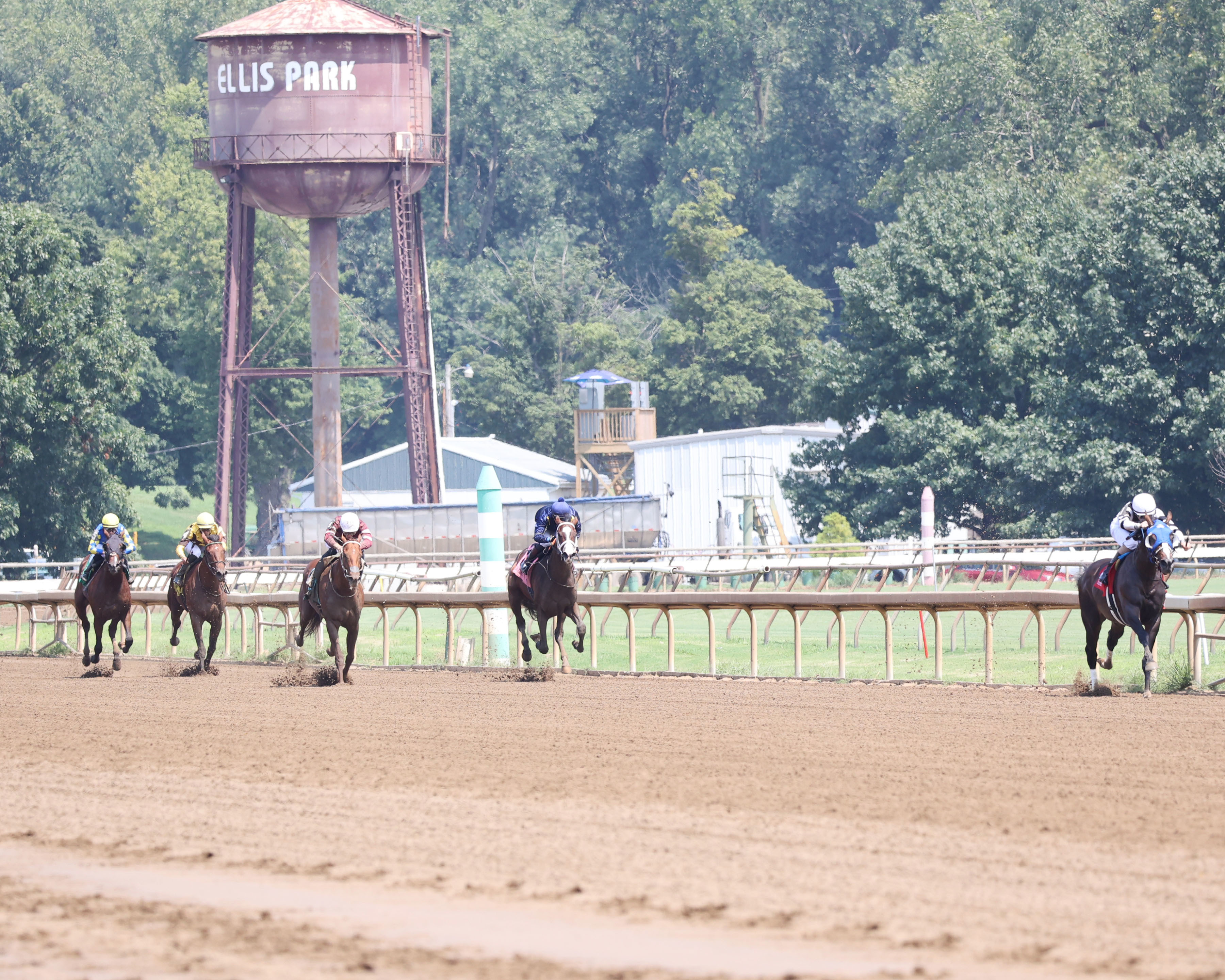 Ellis Park Picks, Racetrack News, & Live Horse Racing Schedule