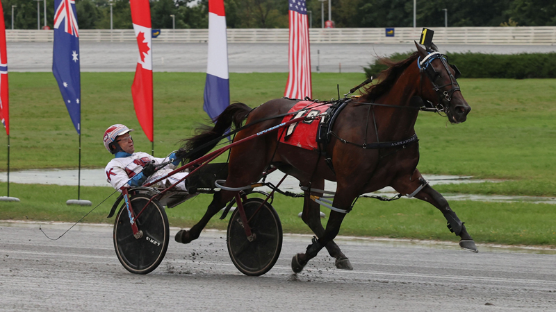 Saratoga Harness: Kakaley drives favored Desperate Man in $250K Gerrity