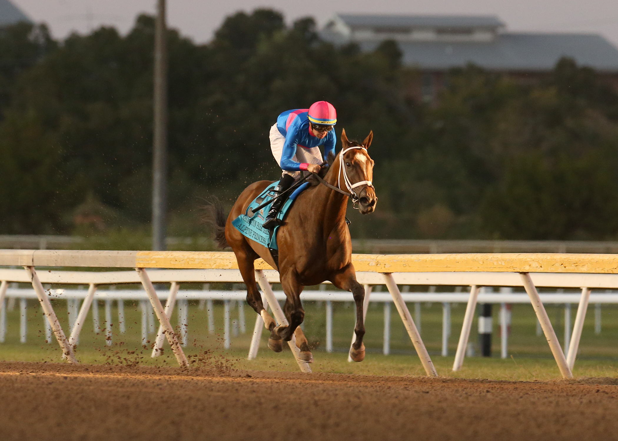 Remington Park Horse Racing Track News, Picks, & Live Schedule