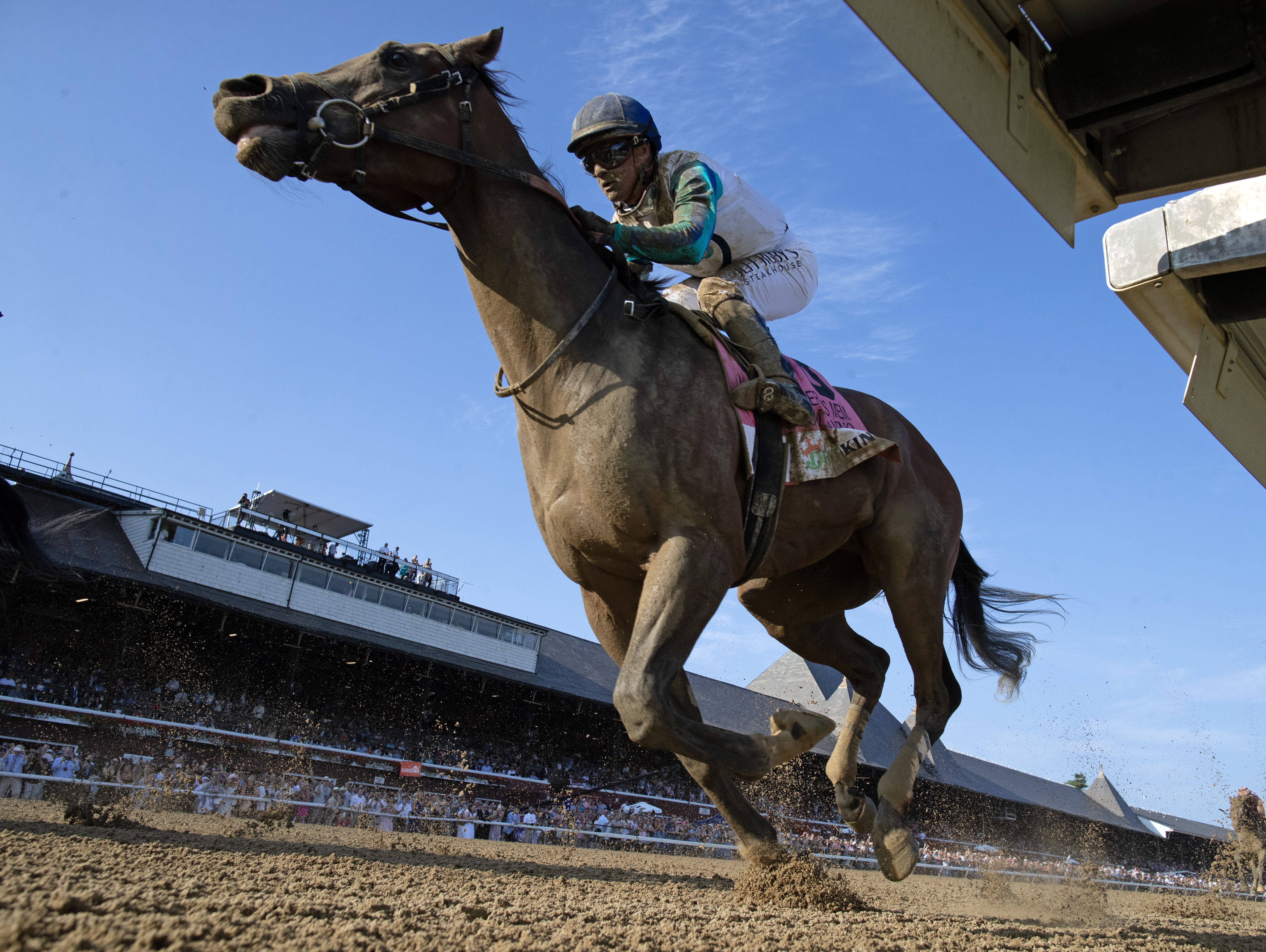 Book’em Danno points to Cigar Mile as probable next start