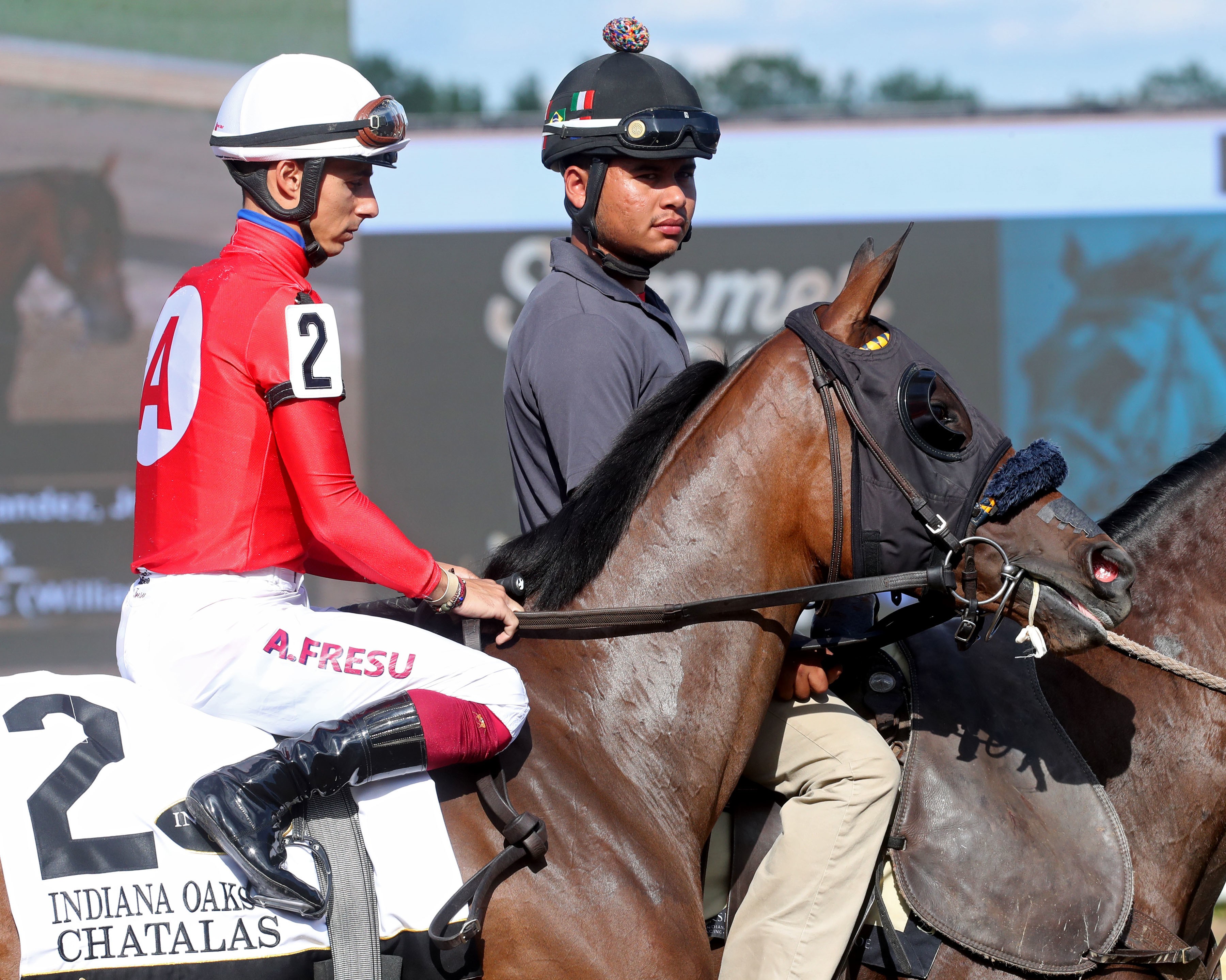 Zia Park Racetrack Picks, Live Horse Racing Schedule, & News