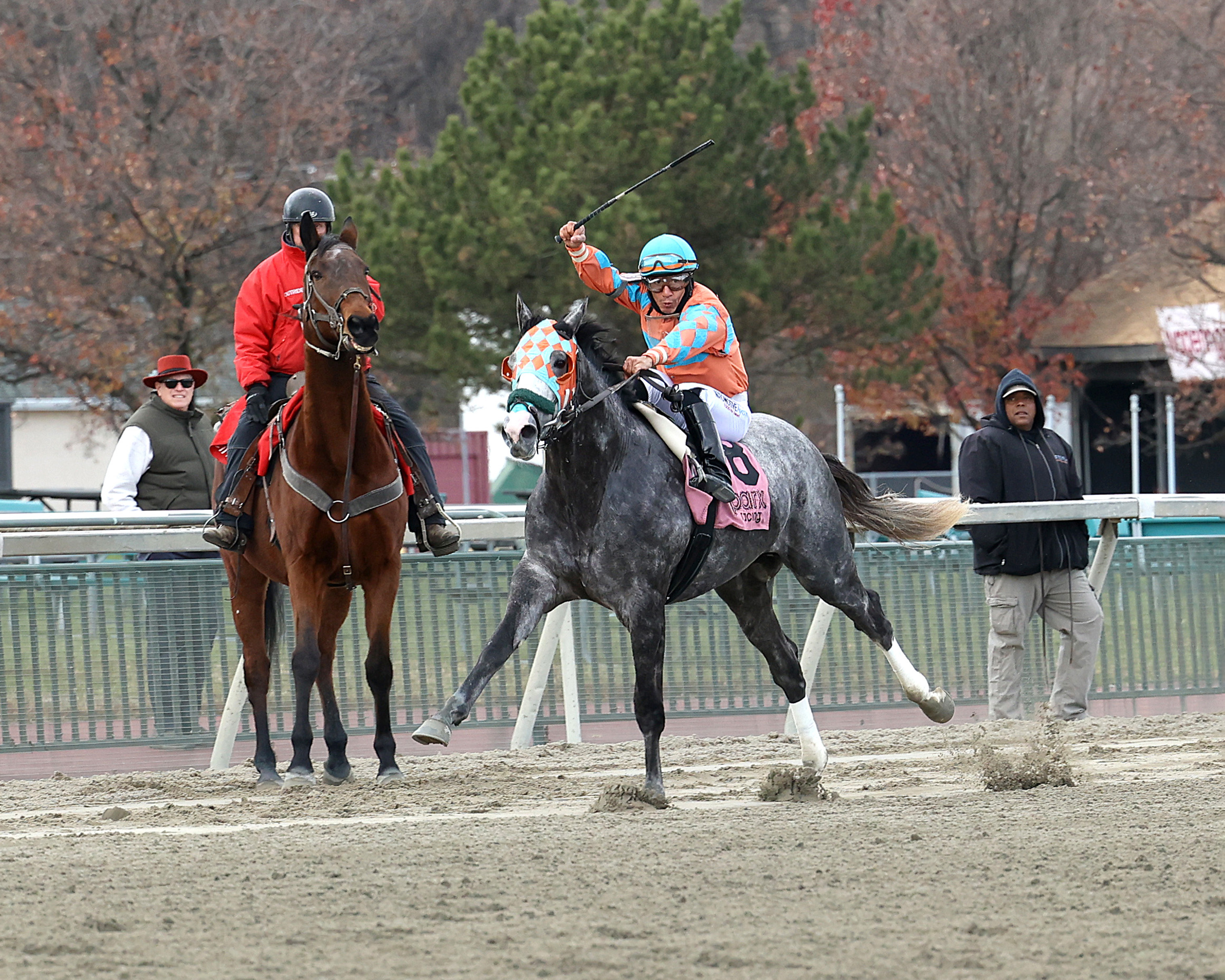 Parx Racetrack Live Horse Racing Schedule, Picks, & News Today