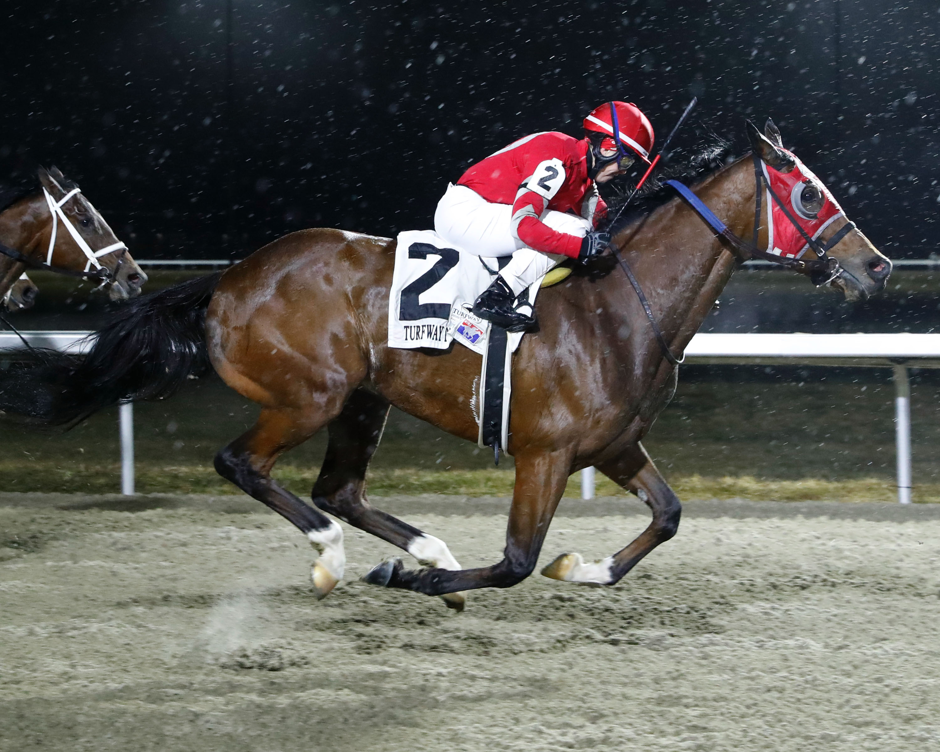 Turfway Park: Live Horse Racing Schedule, Track Events, & News