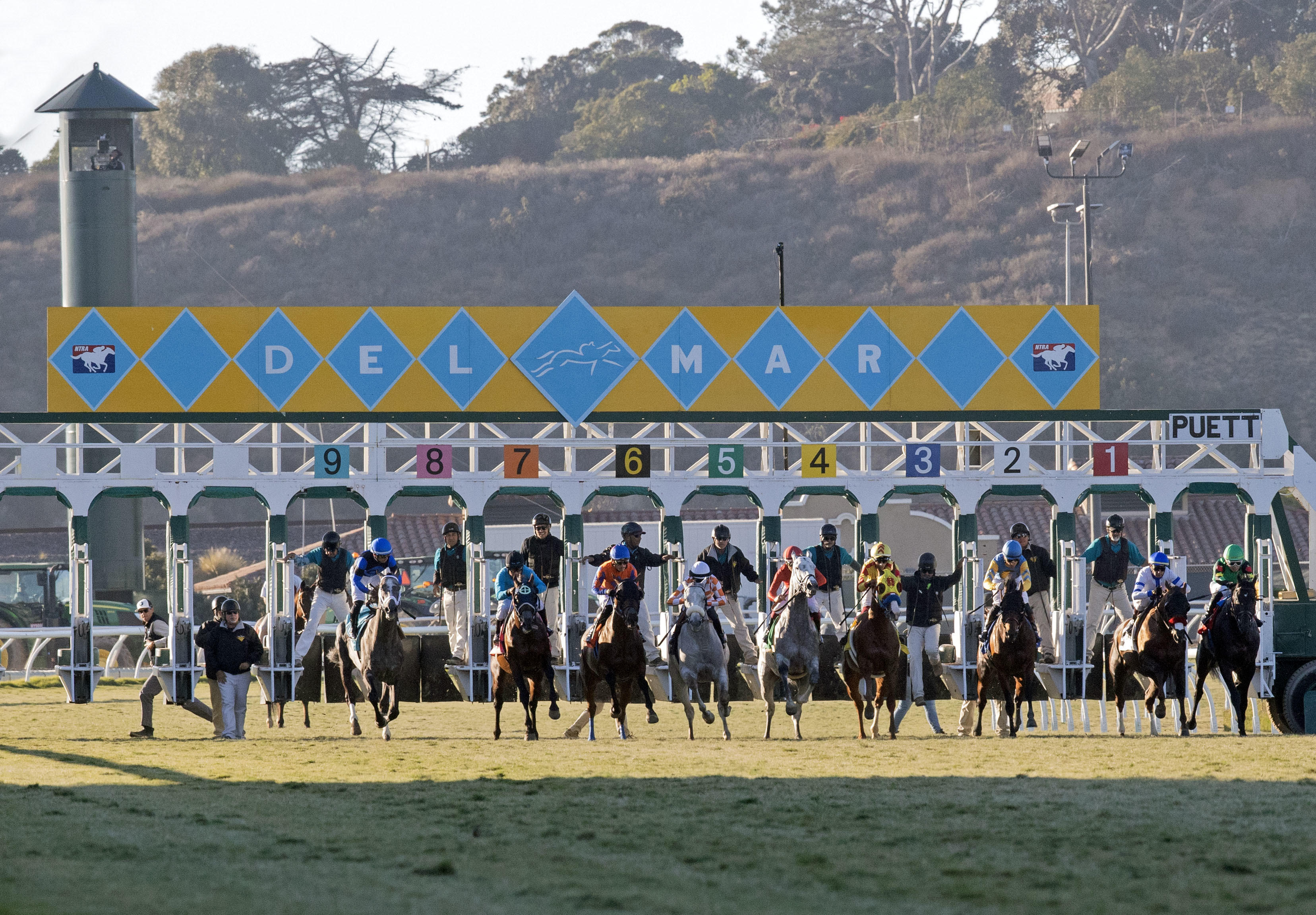 Del Mar Thoroughbred Club Picks, Horse Racing Schedule & News