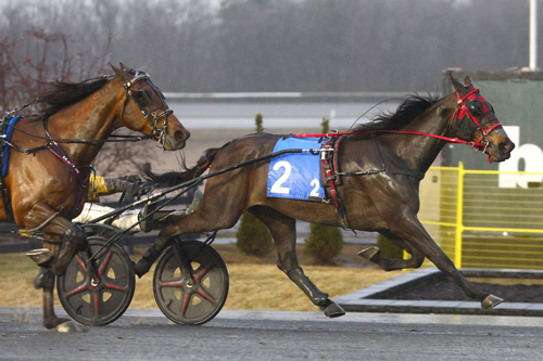 Woodbine Mohawk Park: New Rules captures series final prior to cancelation