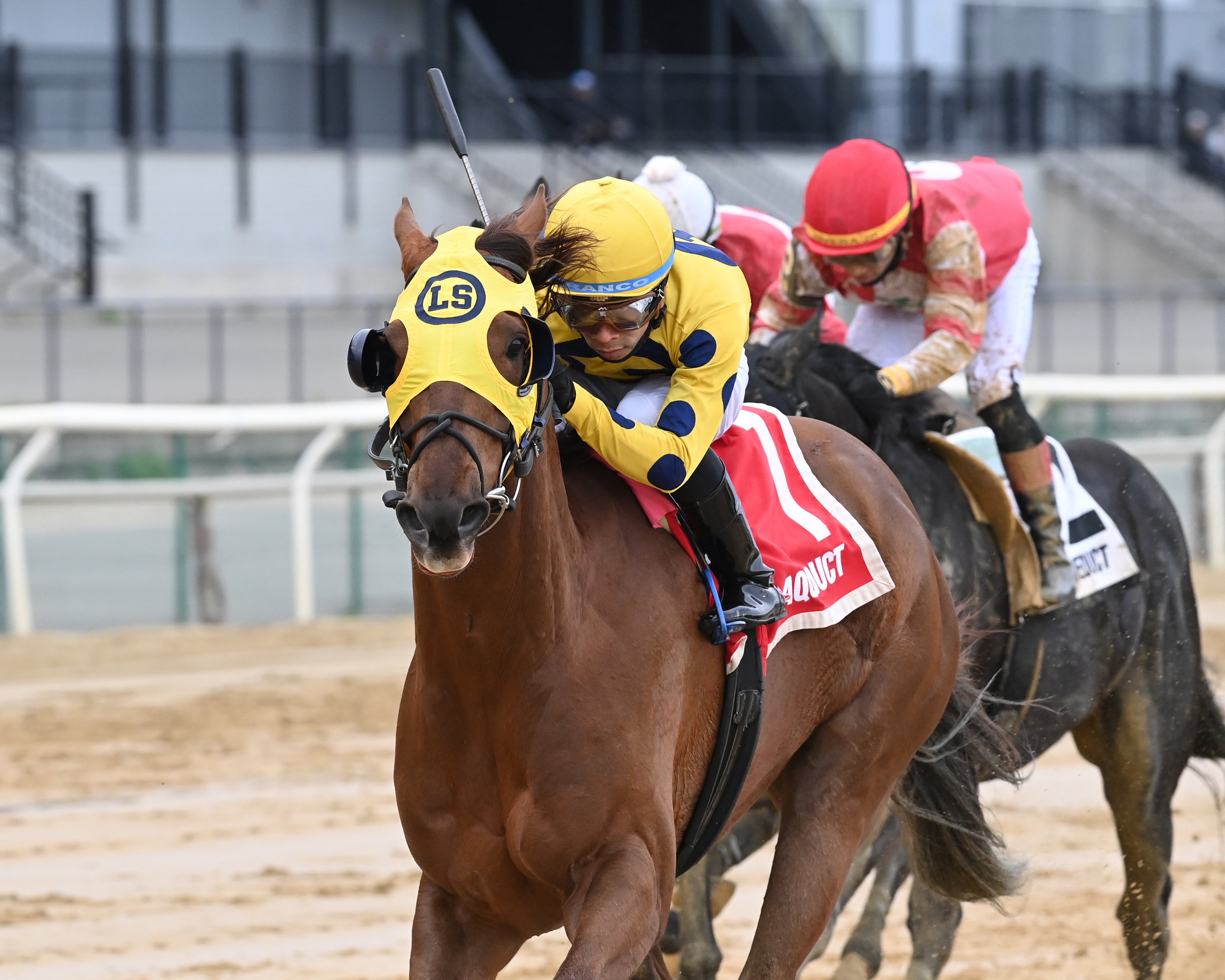 Bank Frenzy wins Haynesfield; Sterling Silver scores in Biogio's Rose