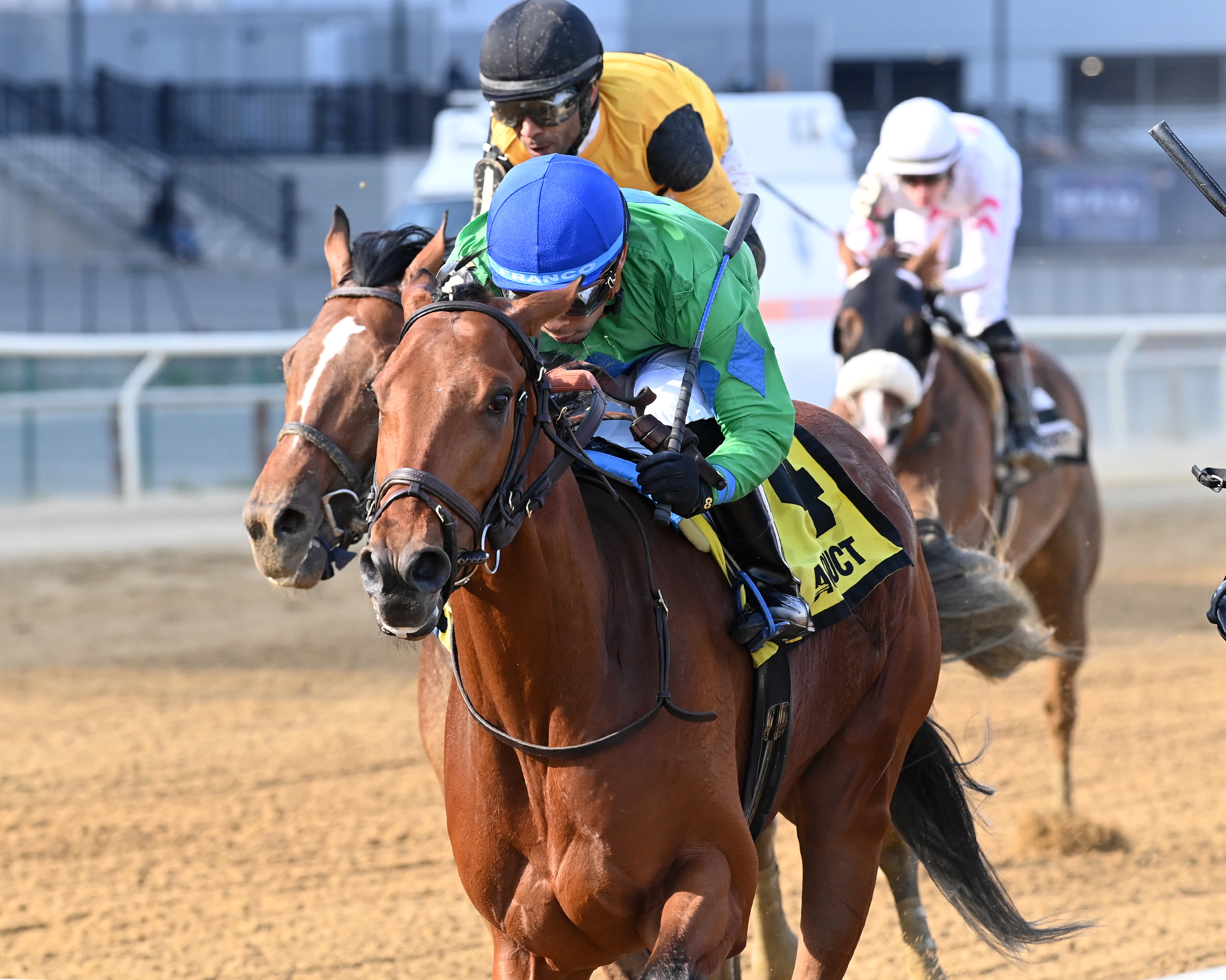 Mo Plex outruns Faster Gator in Bay Shore Stakes