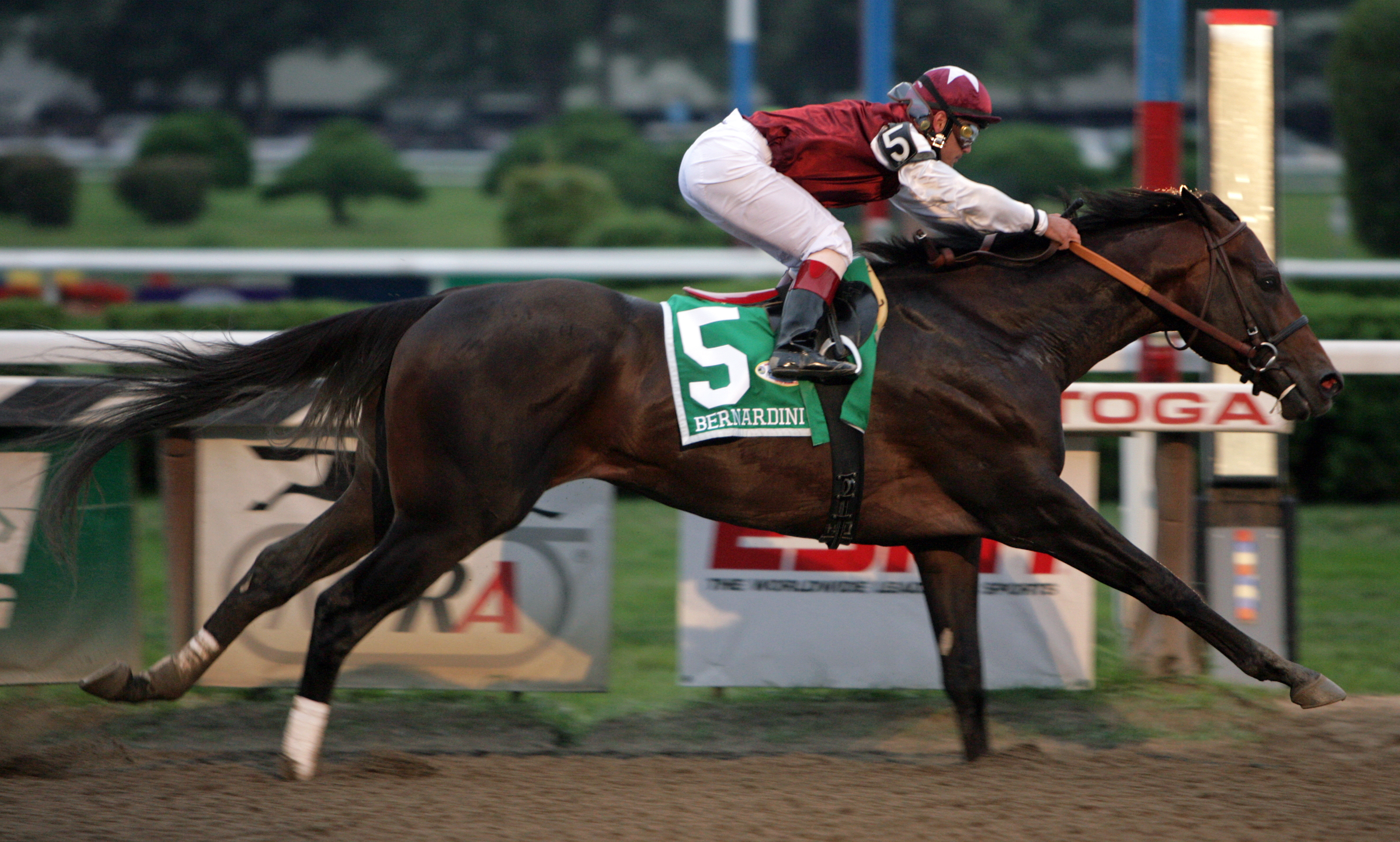 Bernardini continues to make mark as broodmare sire