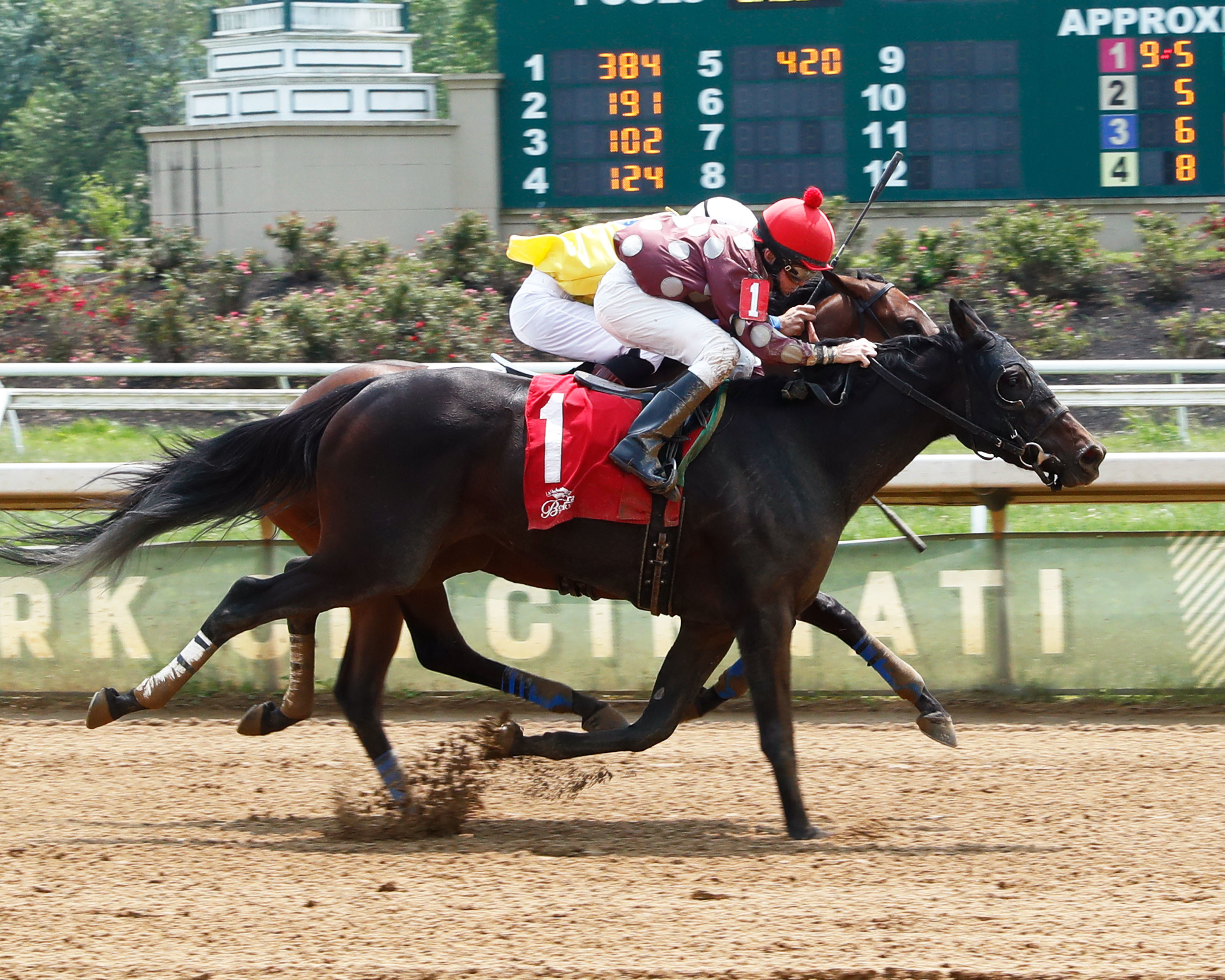 Belterra Park Racetrack: Live Horse Racing News & Schedule