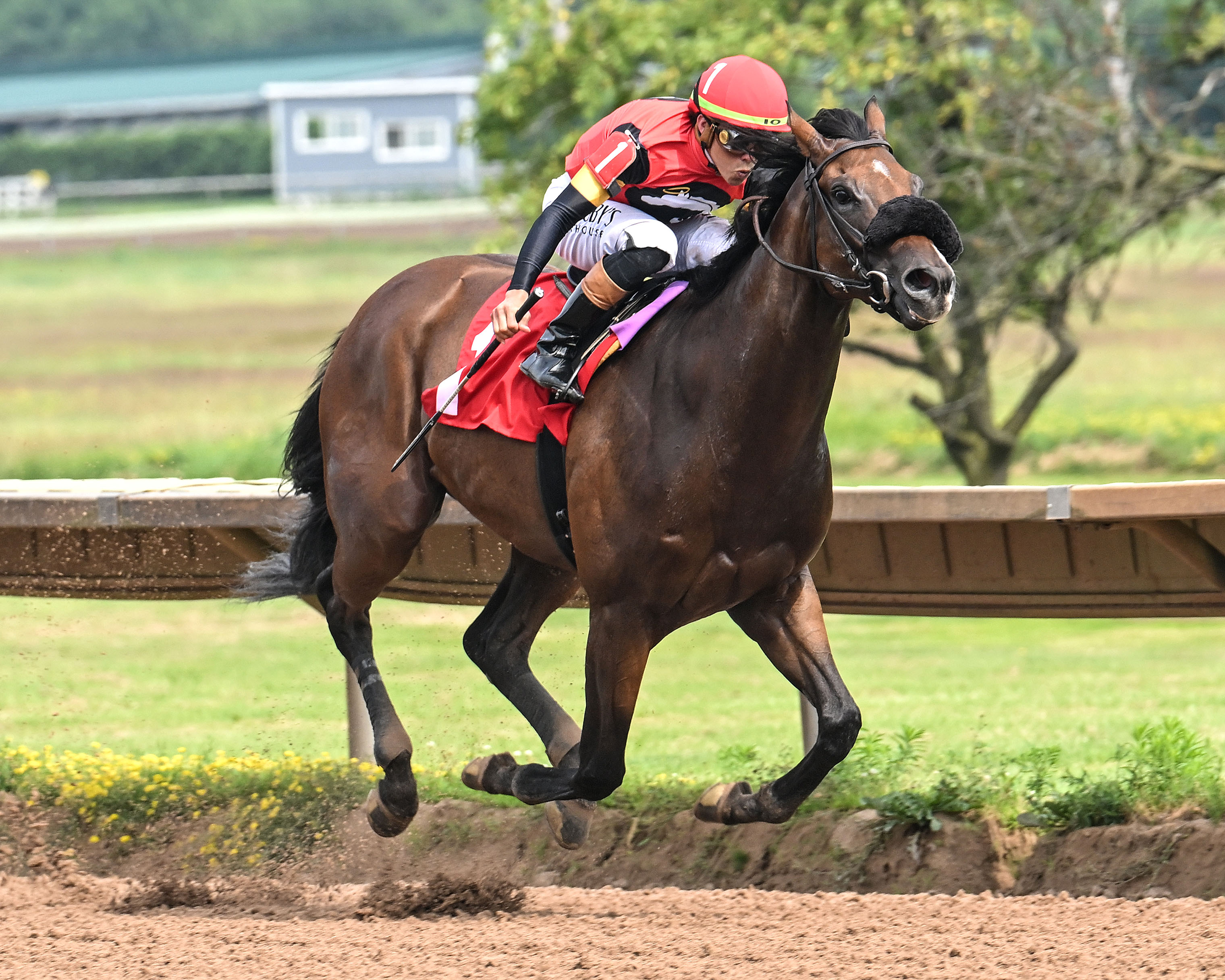 Finger lakes | Horse Racing Track News | DRF