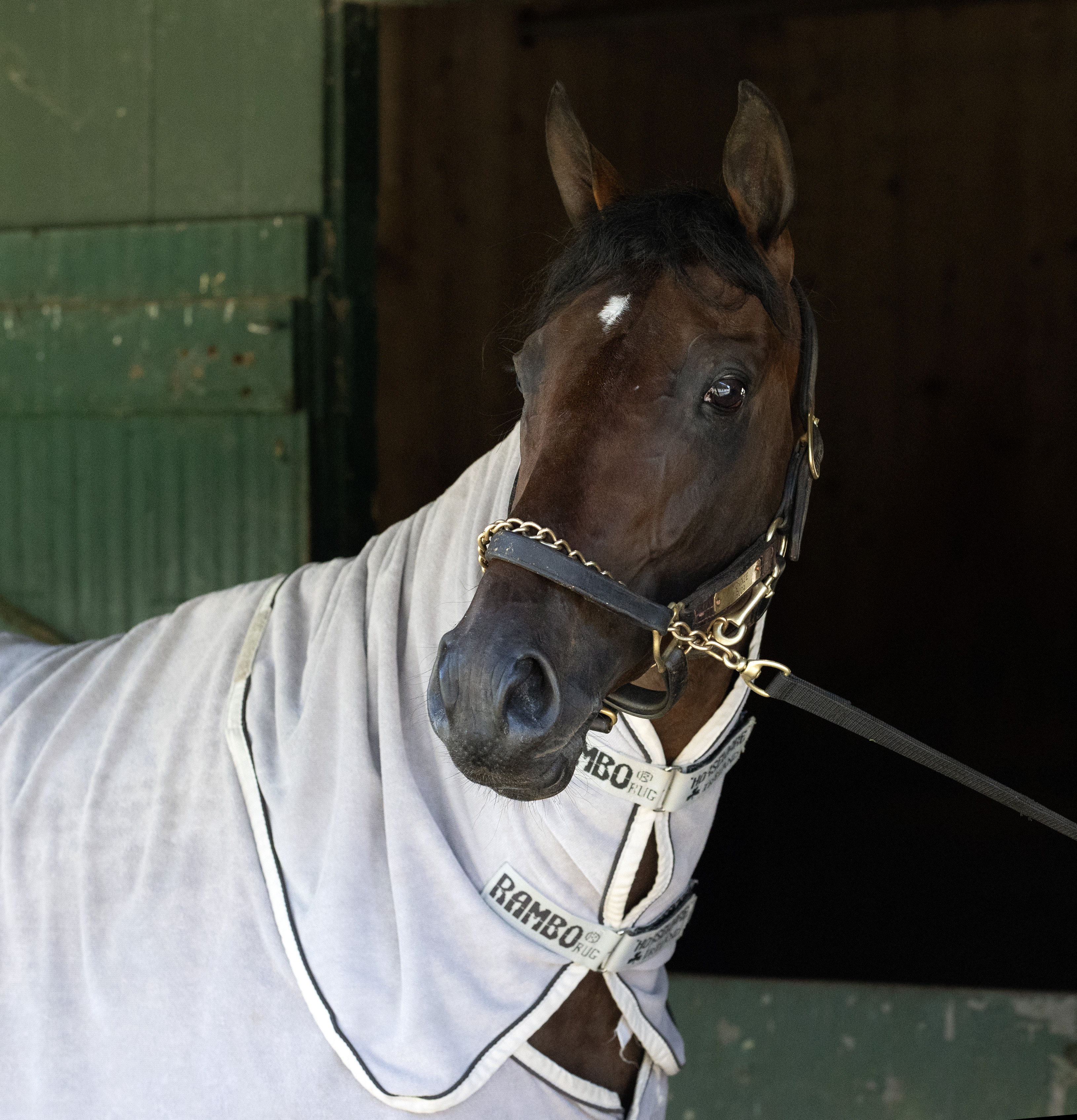 Baeza stays fit for Pennsylvania Derby with six-furlong work