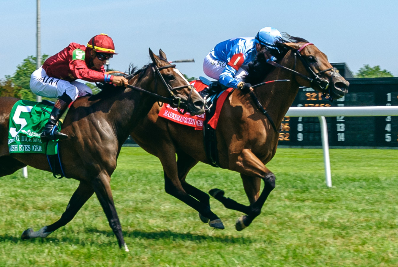 Delaware Park Picks, Live Horse Racing Schedule, & Track News