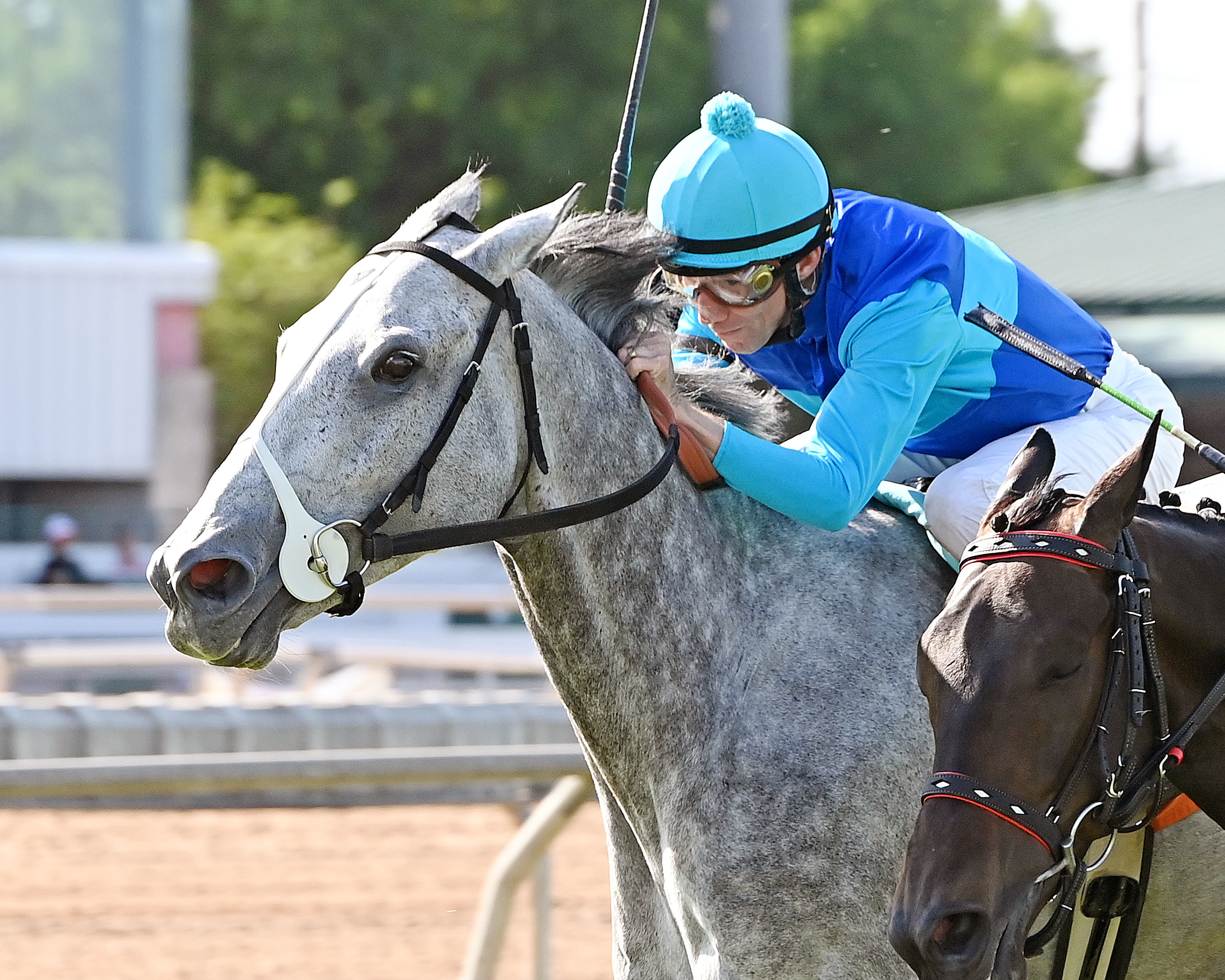 Sam Houston Race Park Live Horse Racing Schedule & Track News