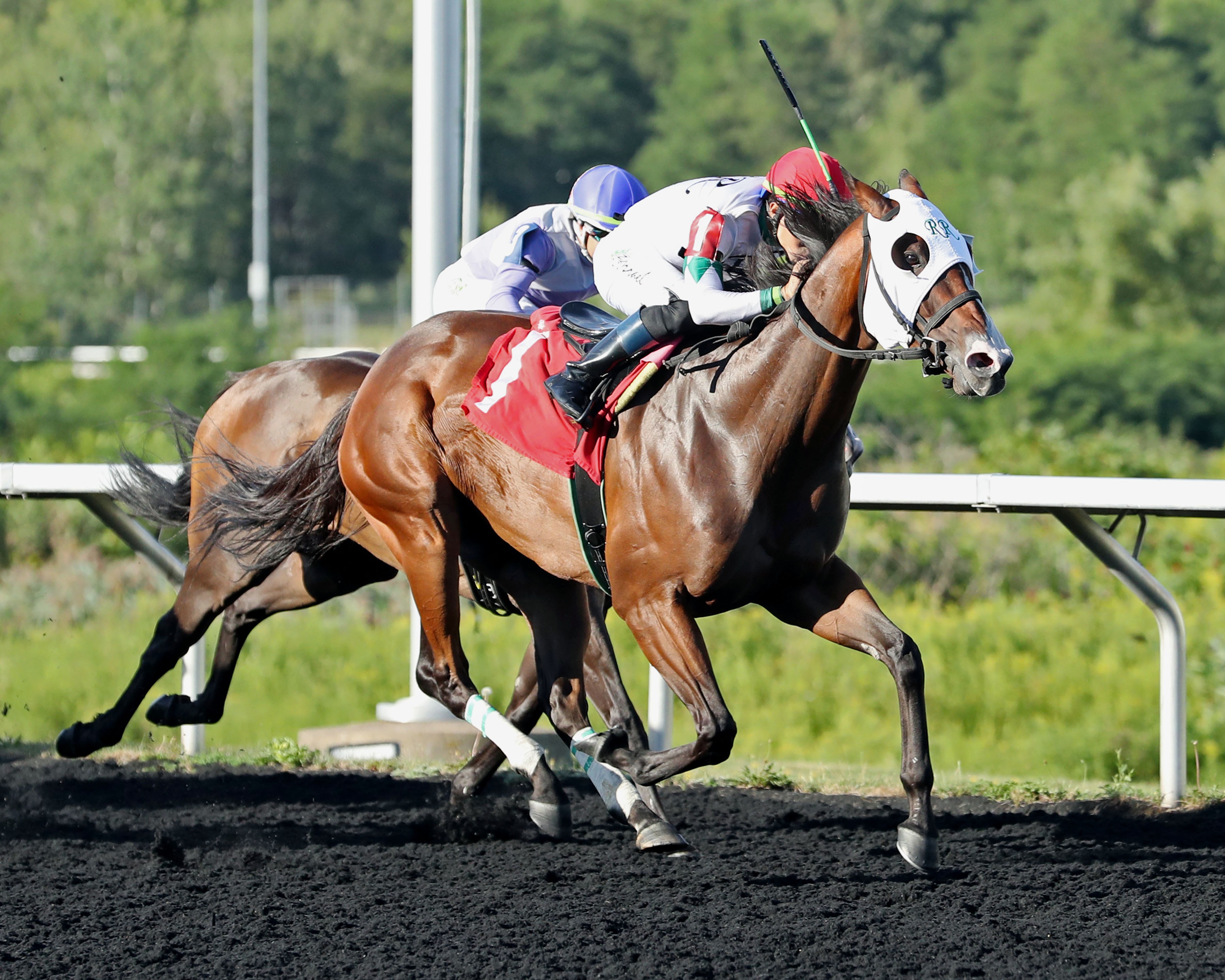 Presque isle downs | Horse Racing Track News | DRF