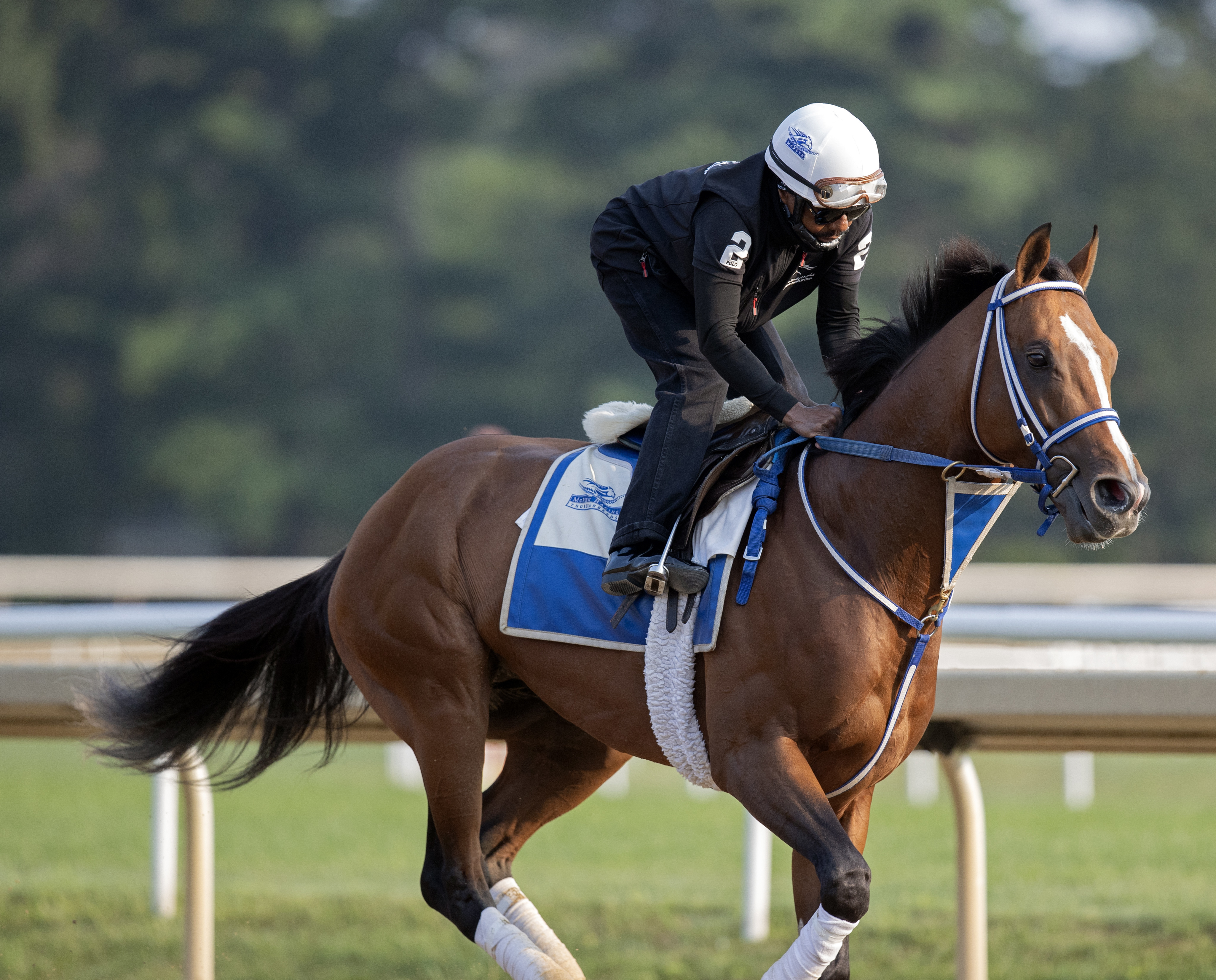 Mystik Dan to make turf debut in Arlington Million