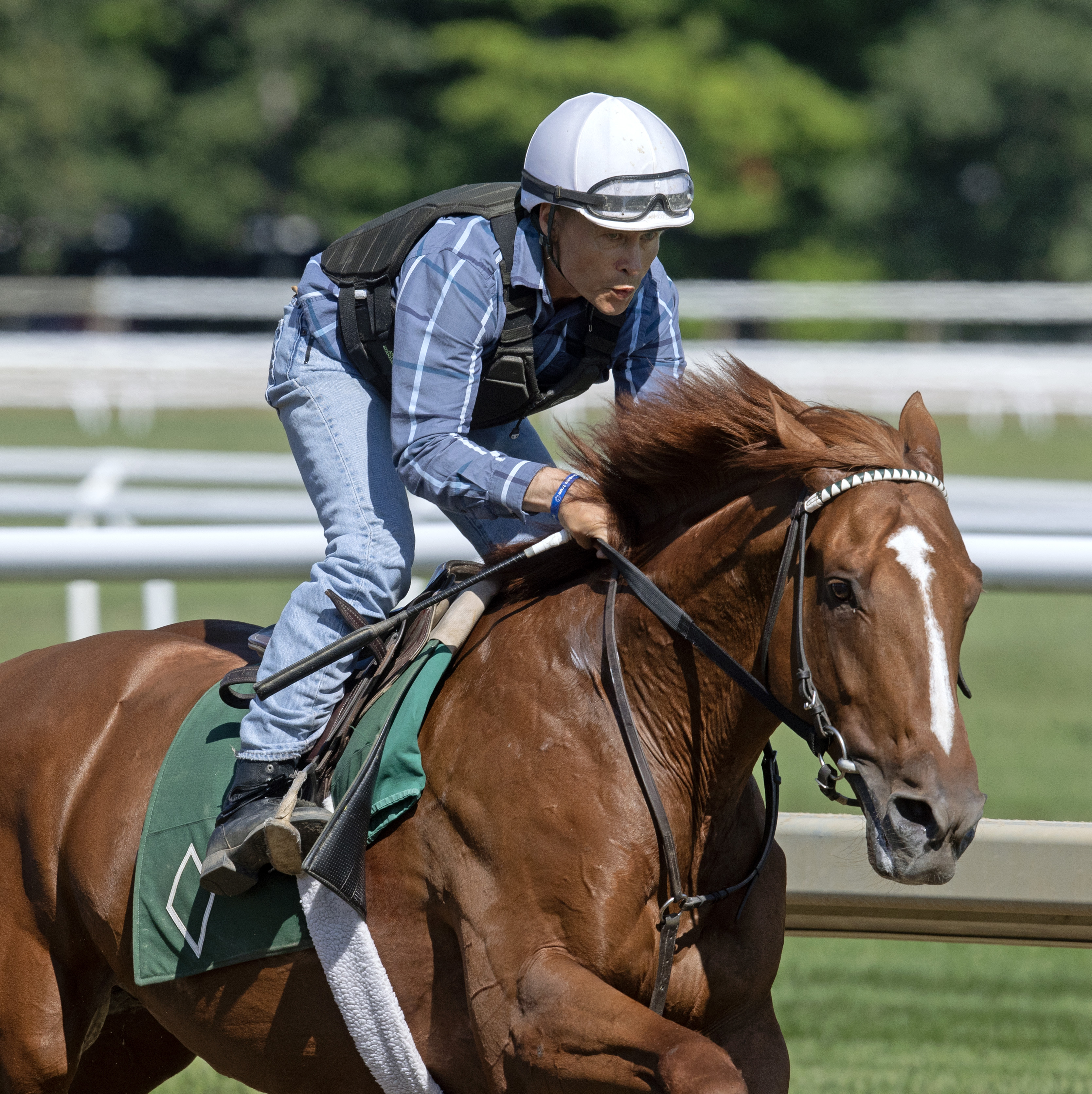 Rich Strike has late, but solid, start to stallion career