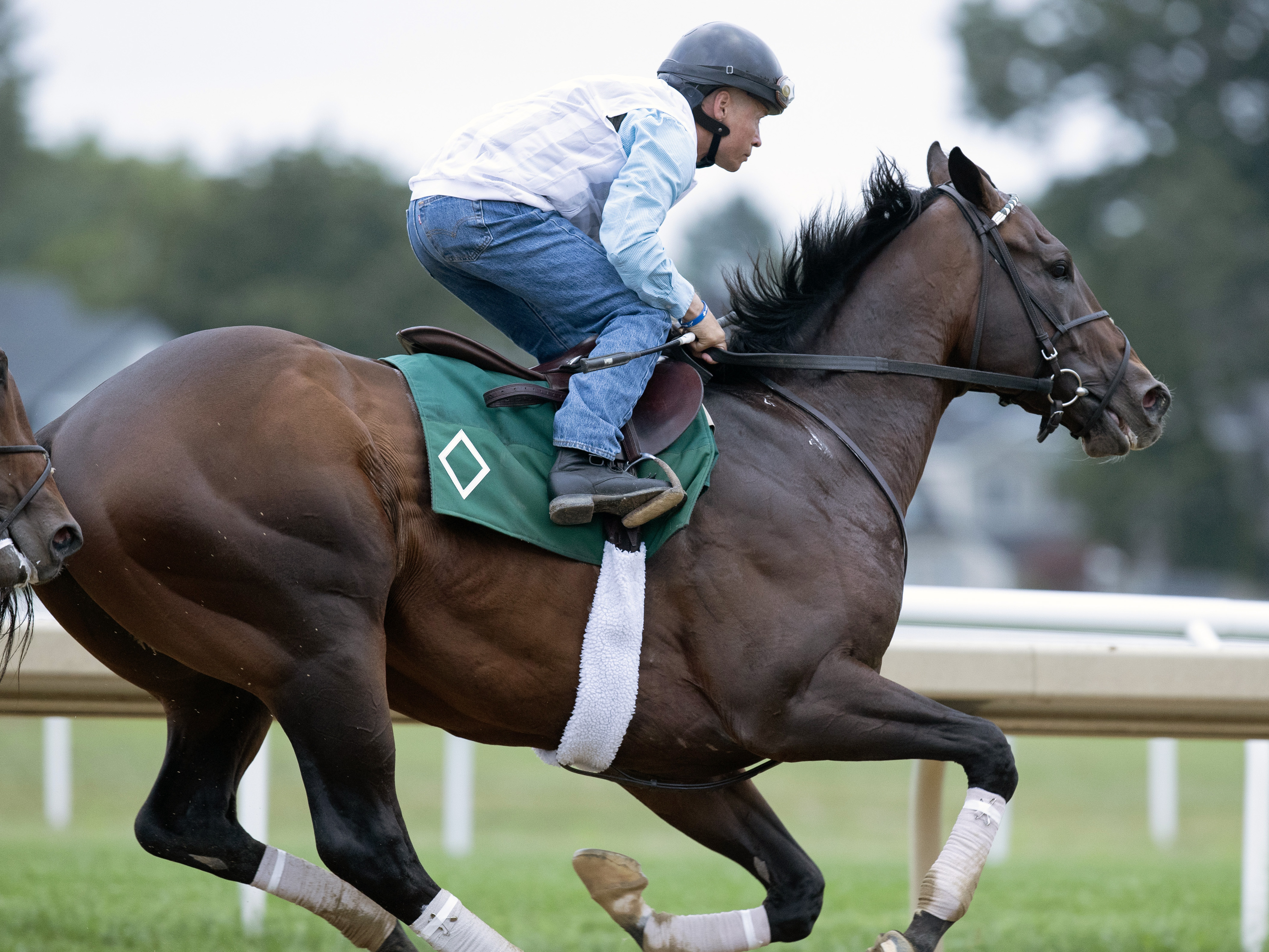 Travers Stakes: Sovereignty leads smallest field since 1994