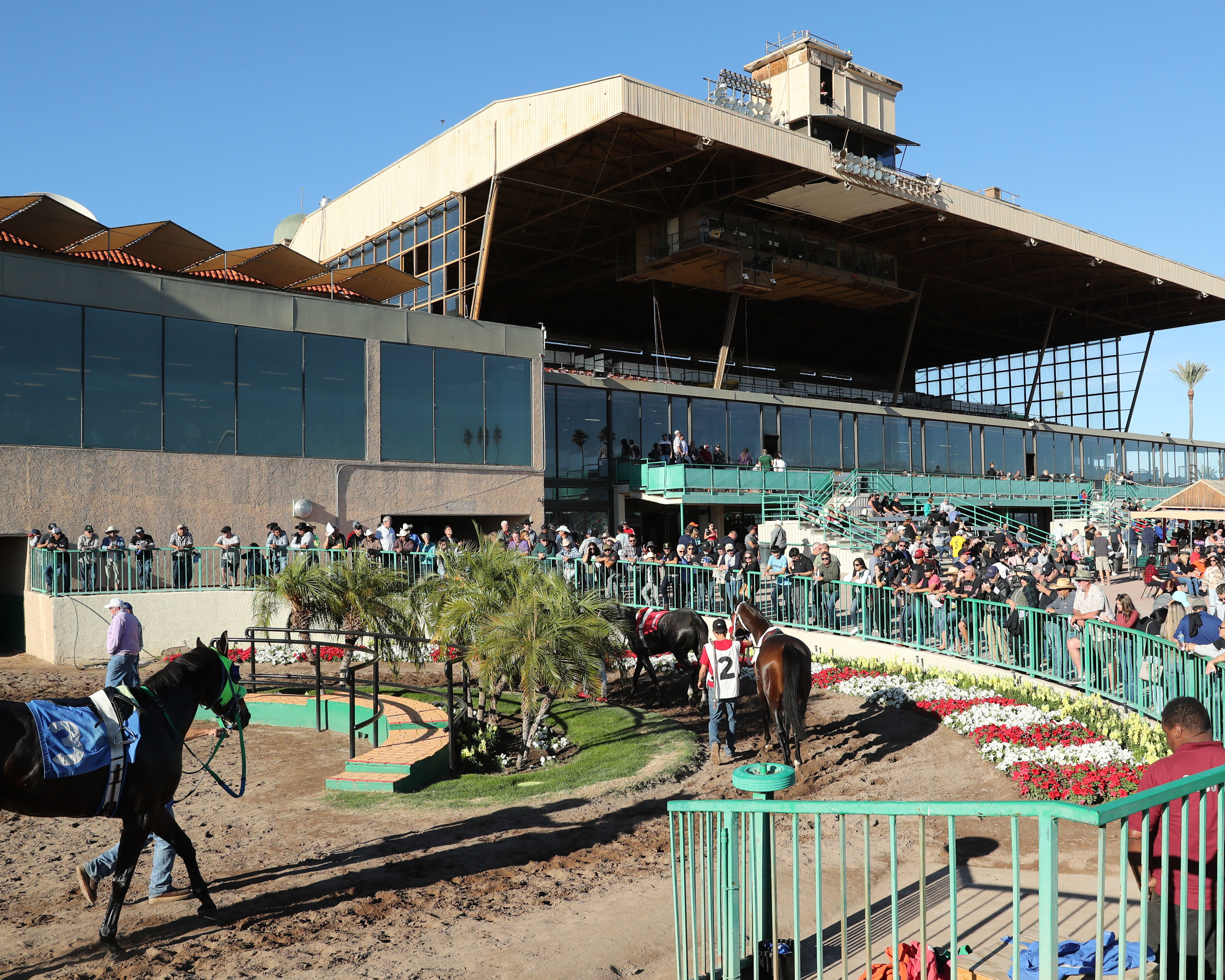 Turf Paradise | Horse Racing Track News | DRF
