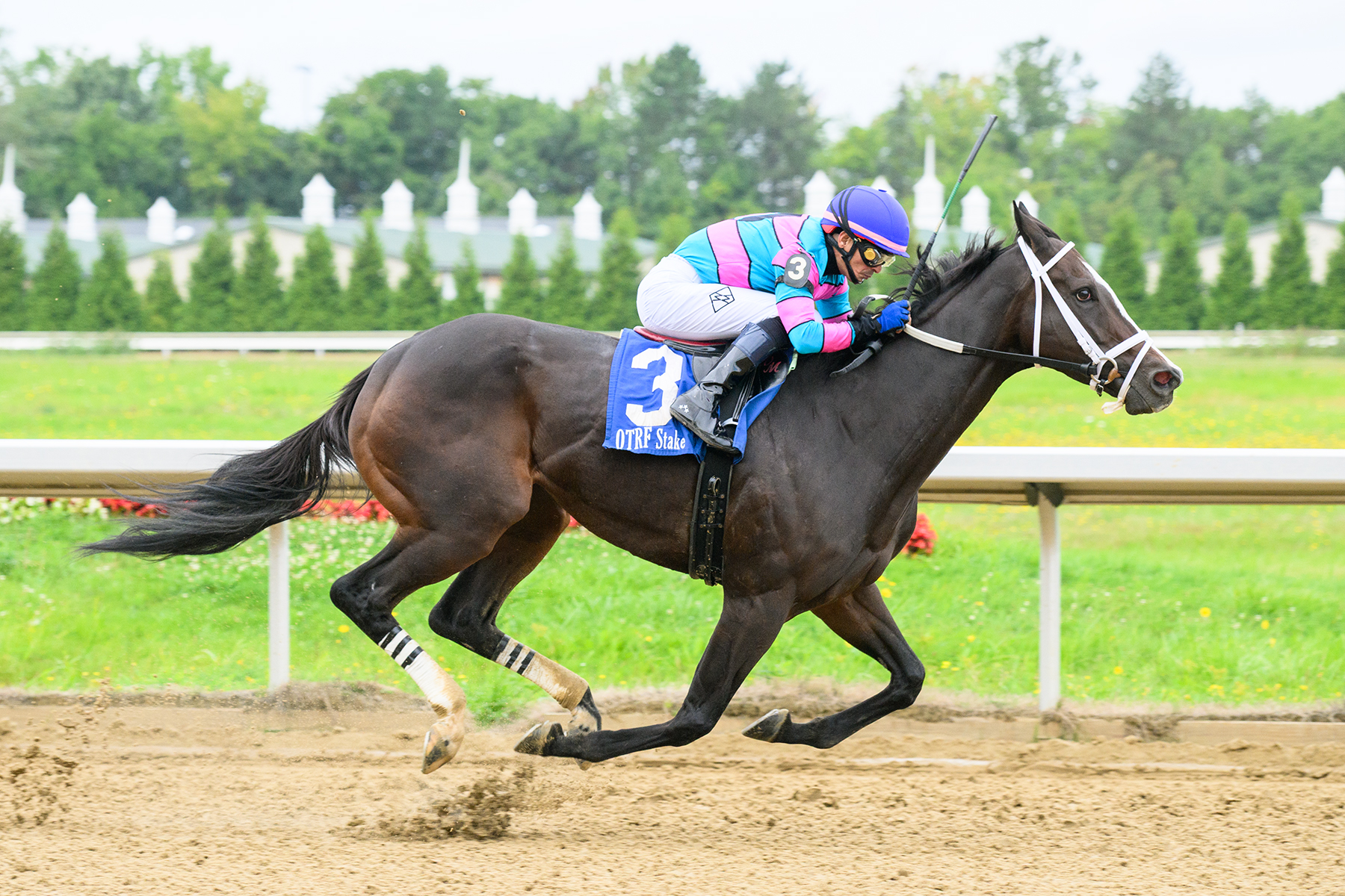 Thistledown | Horse Racing Track News | DRF