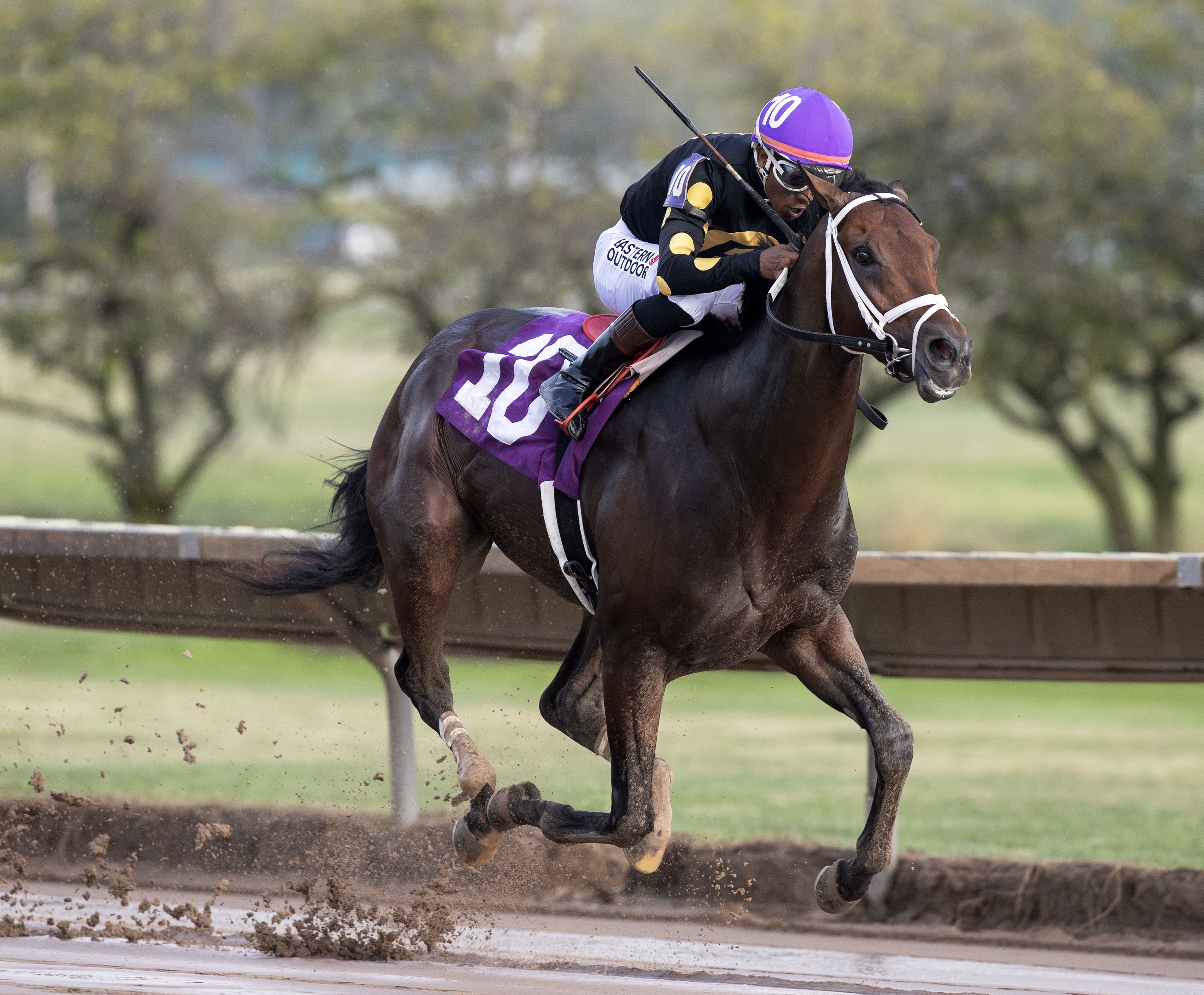 Finger lakes | Horse Racing Track News | DRF