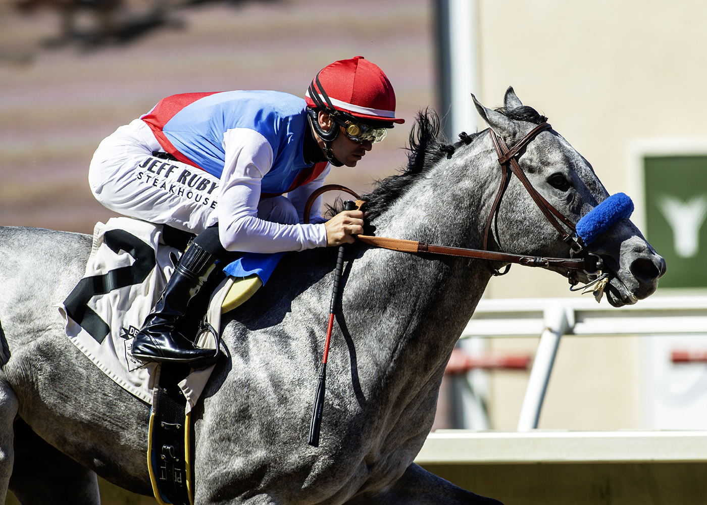 Del Mar Thoroughbred Club Picks, Horse Racing Schedule & News