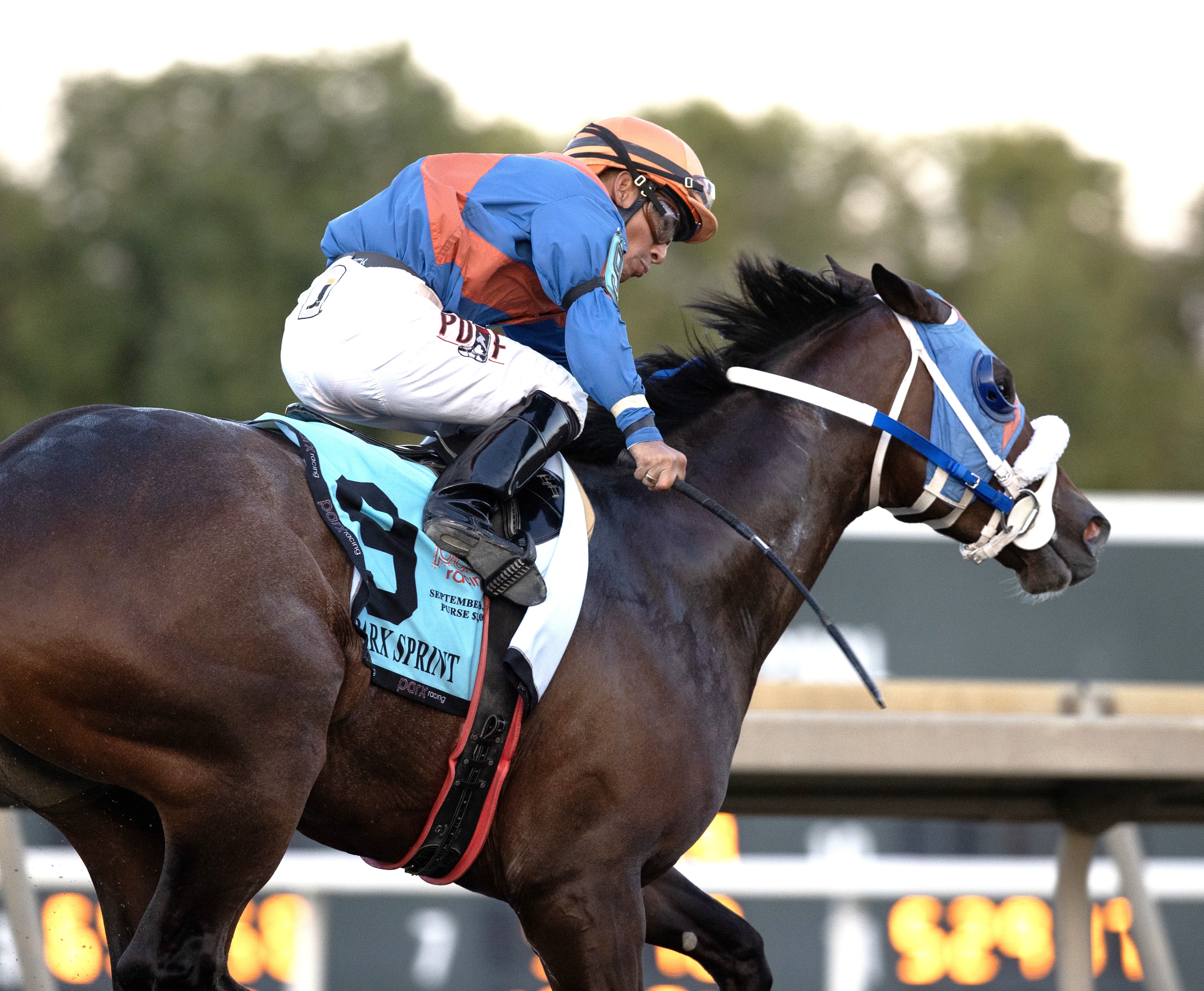 Local favorites Buccherino, Repo Rocks injured in respective stakes at ...