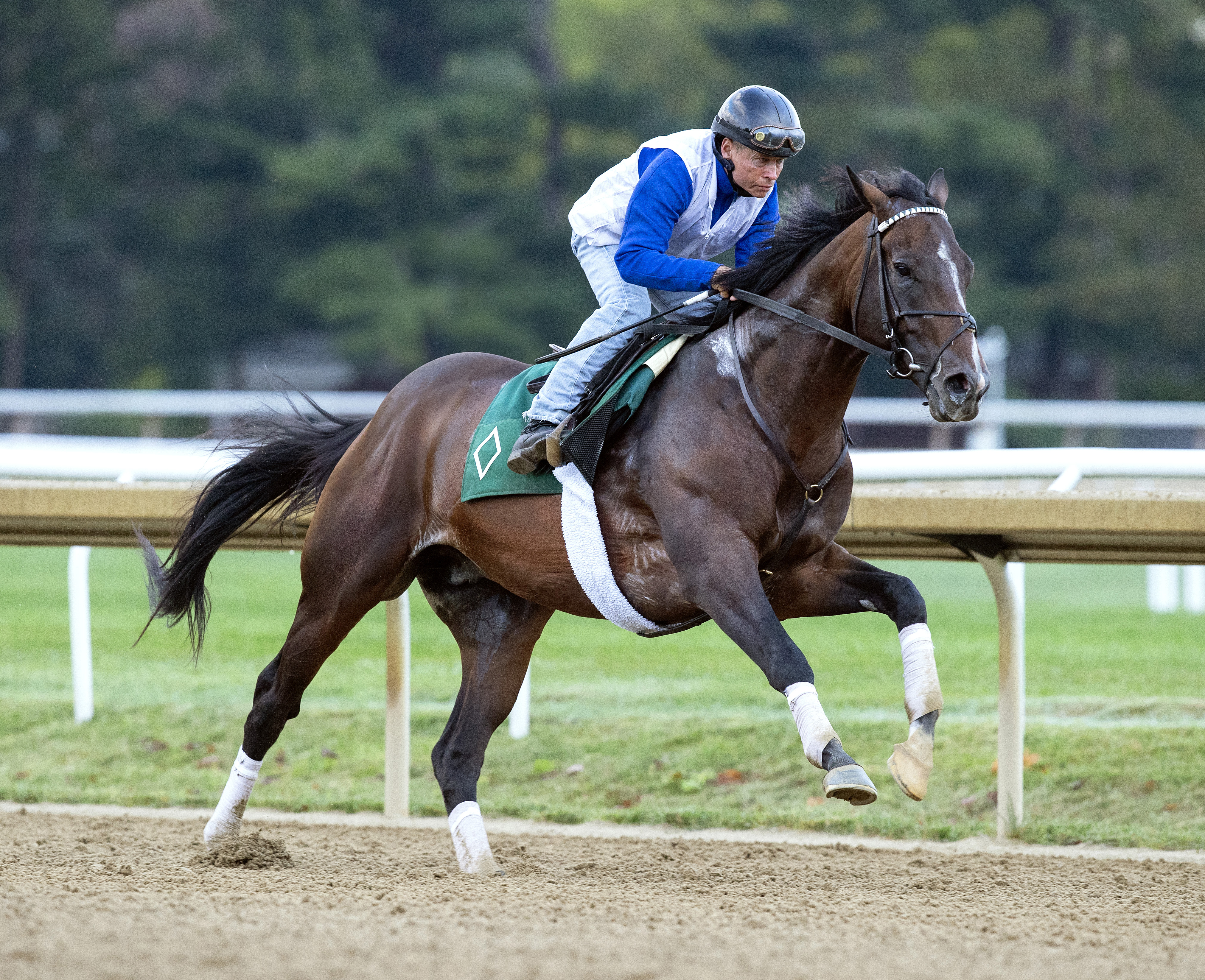 Daily Racing Form | Horse Racing | Entries | Results | PPs (Past ...