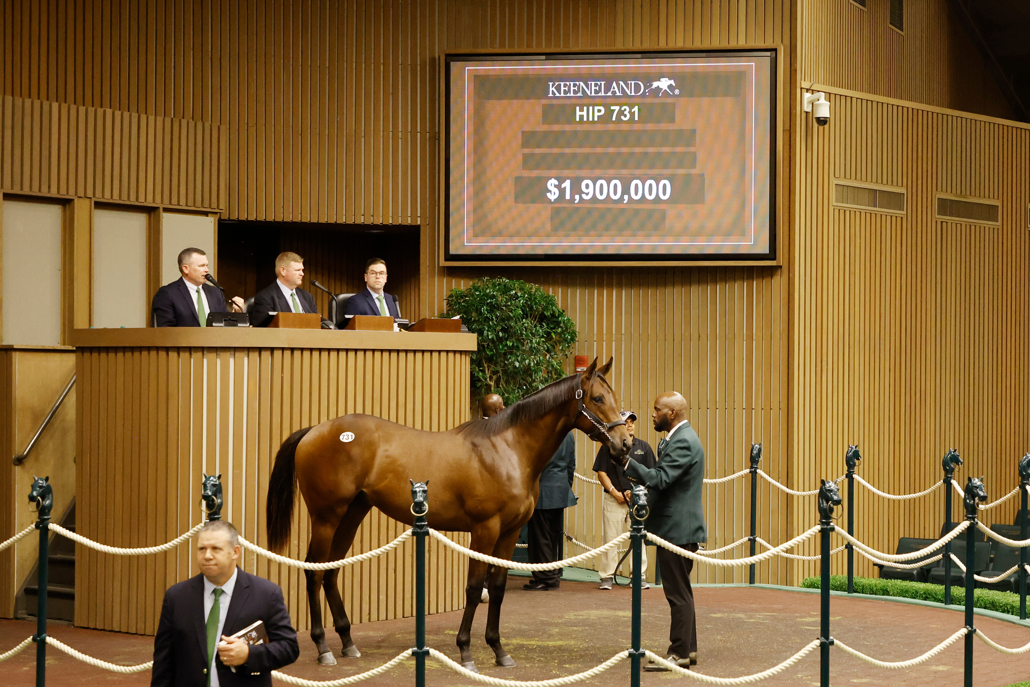 Keeneland September sale: Book 2 opens with continued momentum and $1.9 ...