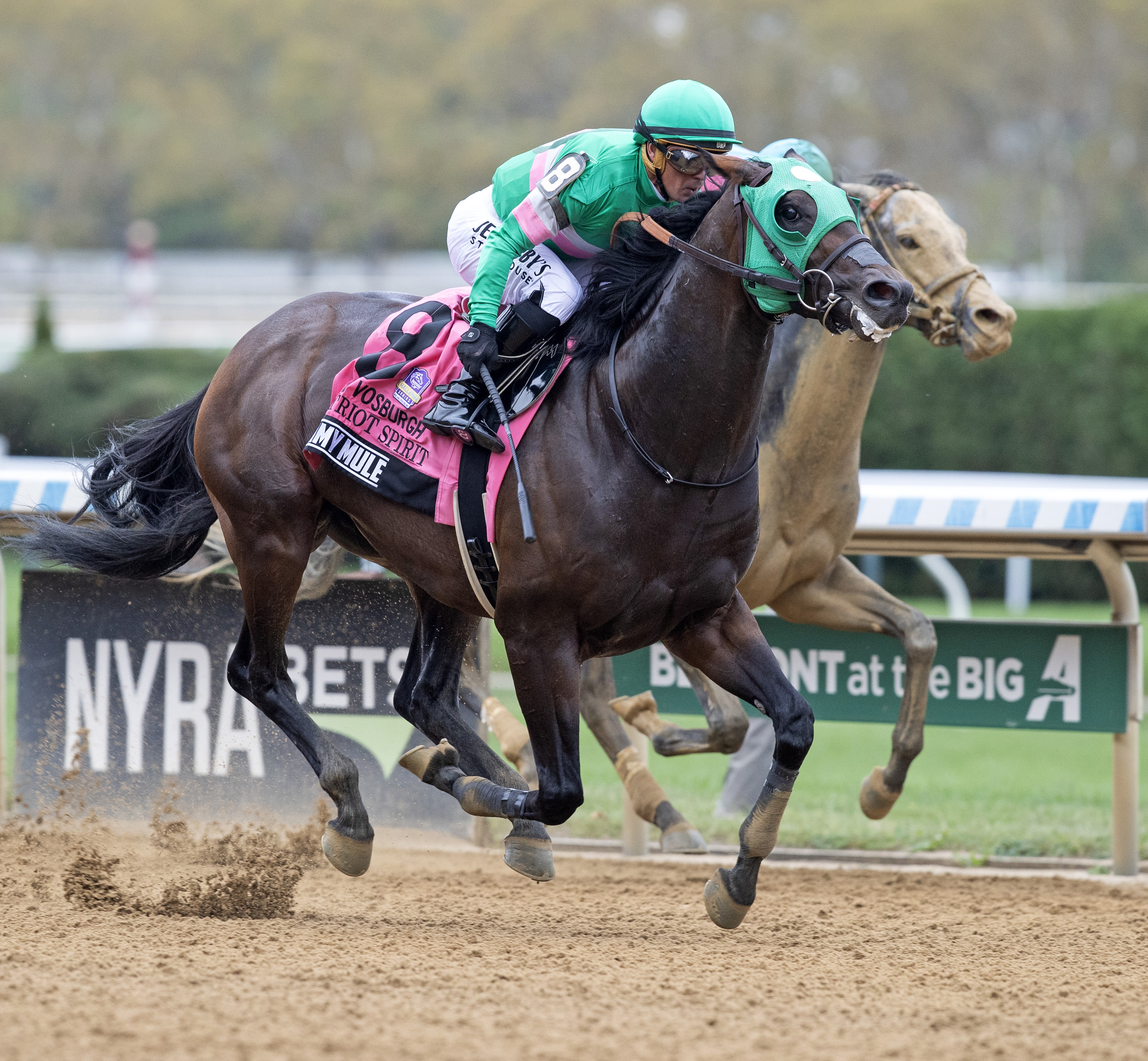 Patriot Spirit punches BC Sprint ticket with Vosburgh Stakes triumph