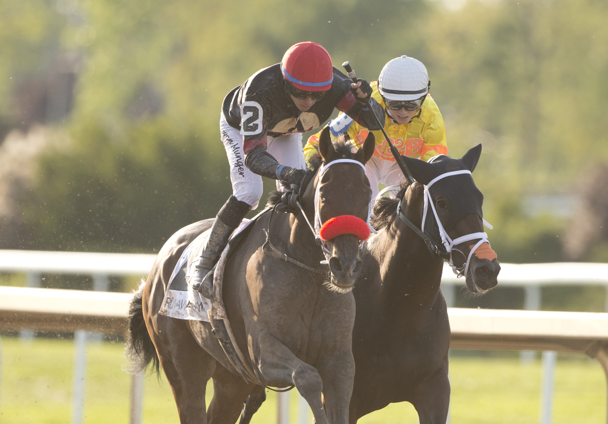 Fort Erie Racetrack Picks, Live Horse Racing Schedule, & News