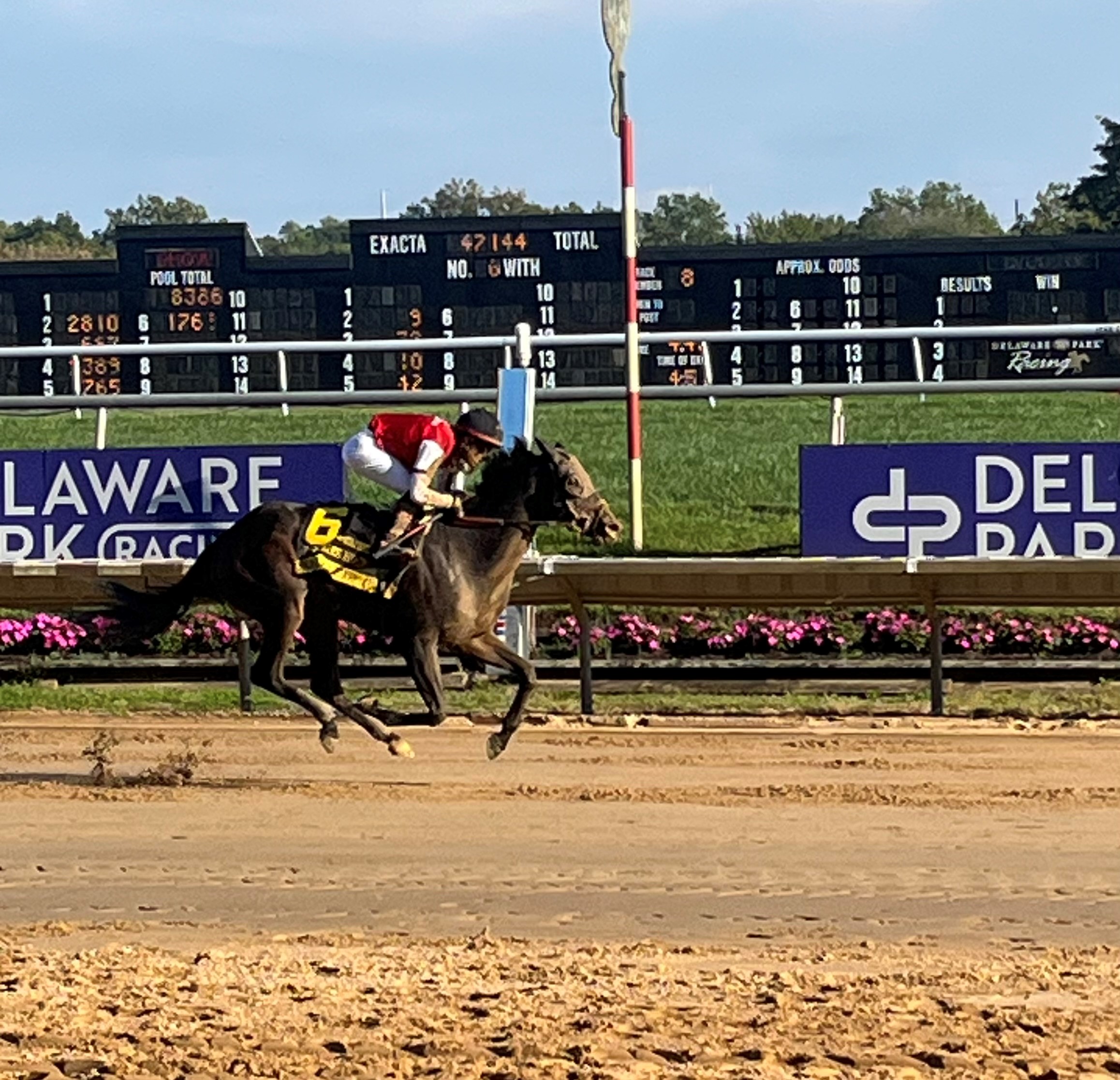 Delaware Park Picks, Live Horse Racing Schedule, & Track News