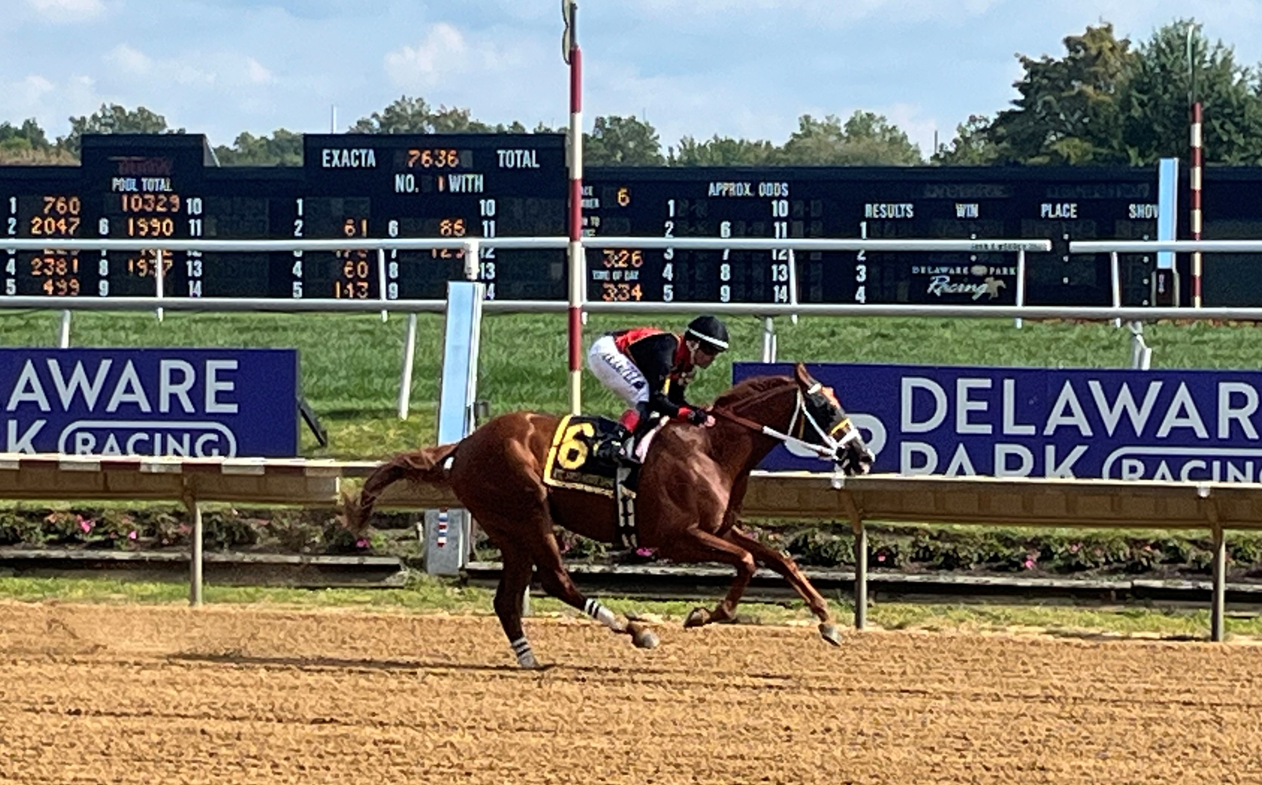 Delaware Park Picks, Live Horse Racing Schedule, & Track News