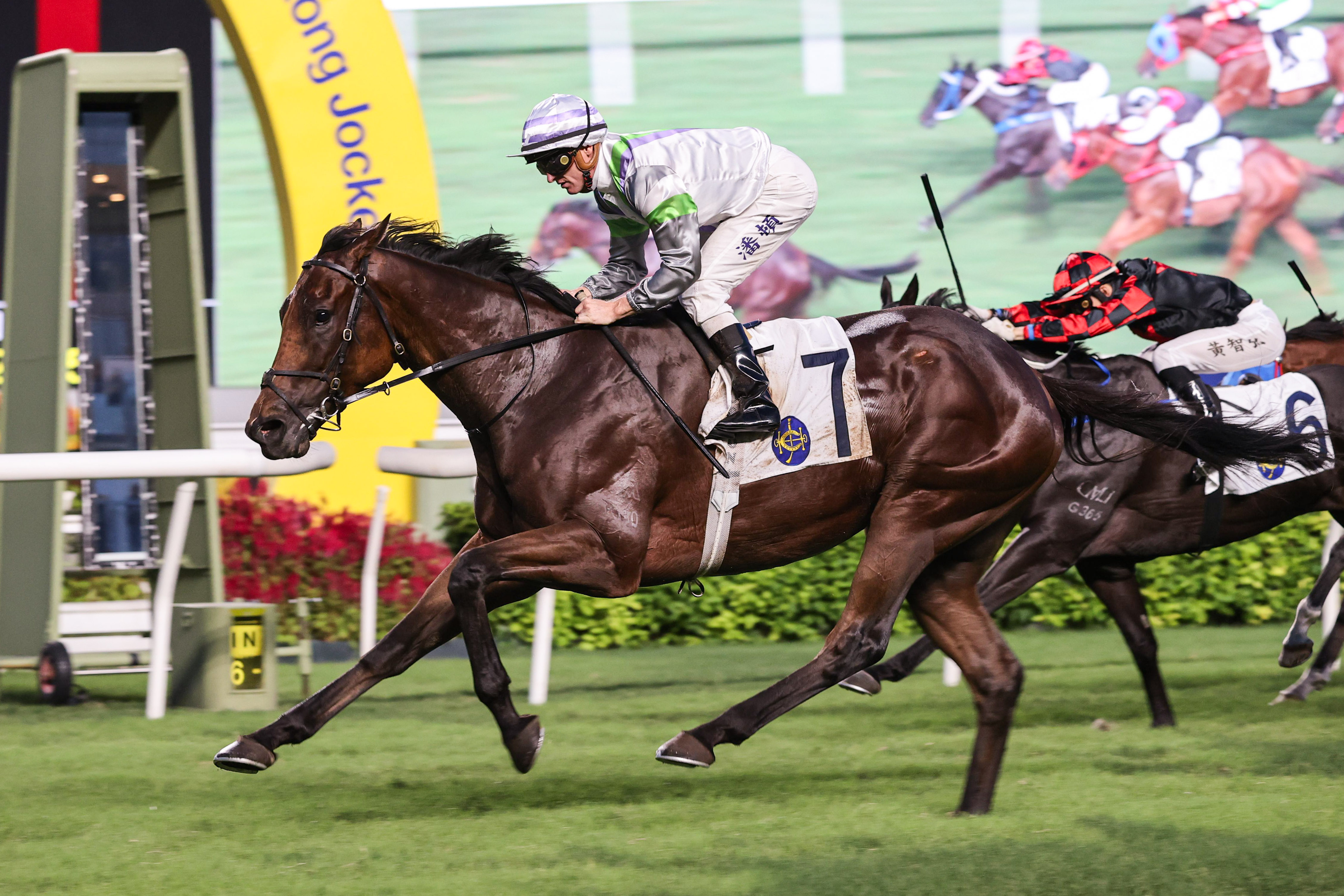 Hong kong racing | Horse Racing Track News | DRF