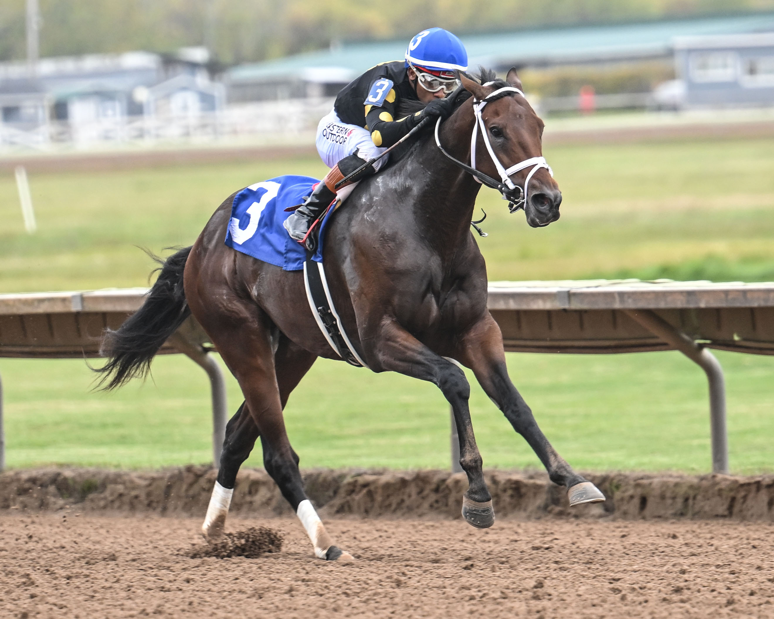 Finger lakes | Horse Racing Track News | DRF