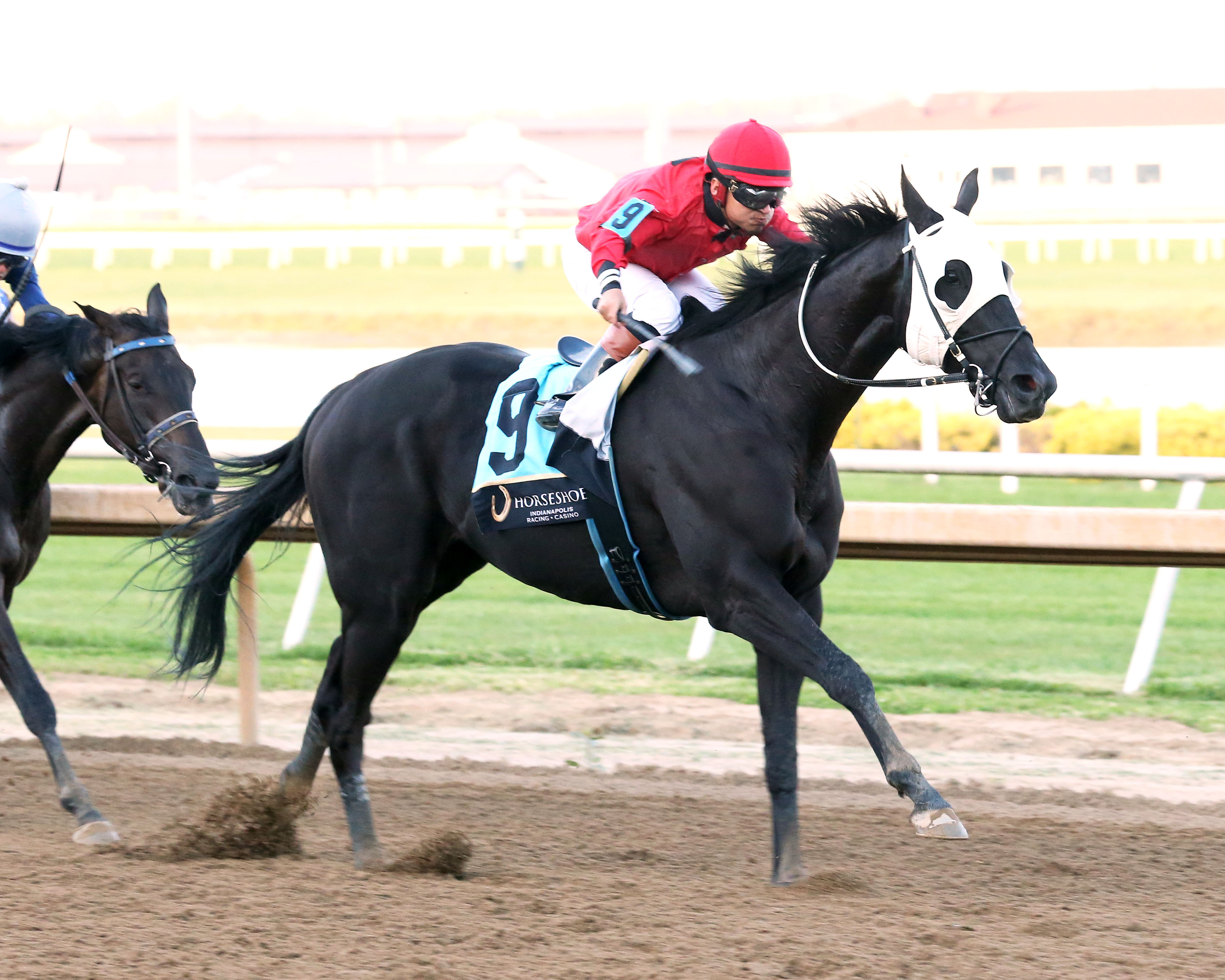 Horseshoe Indianapolis Racetrack Picks & Live Racing News | DRF