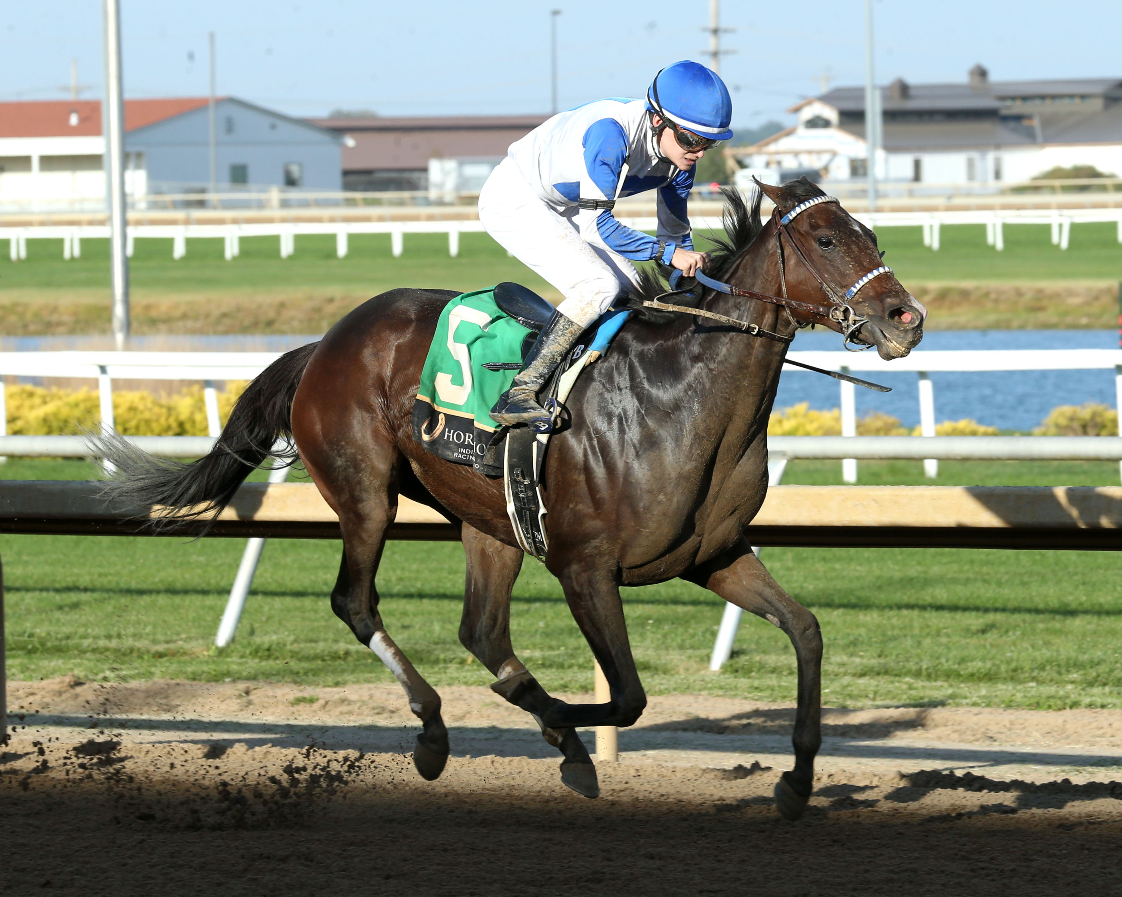 Horseshoe Indianapolis Racetrack Picks & Live Racing News | DRF