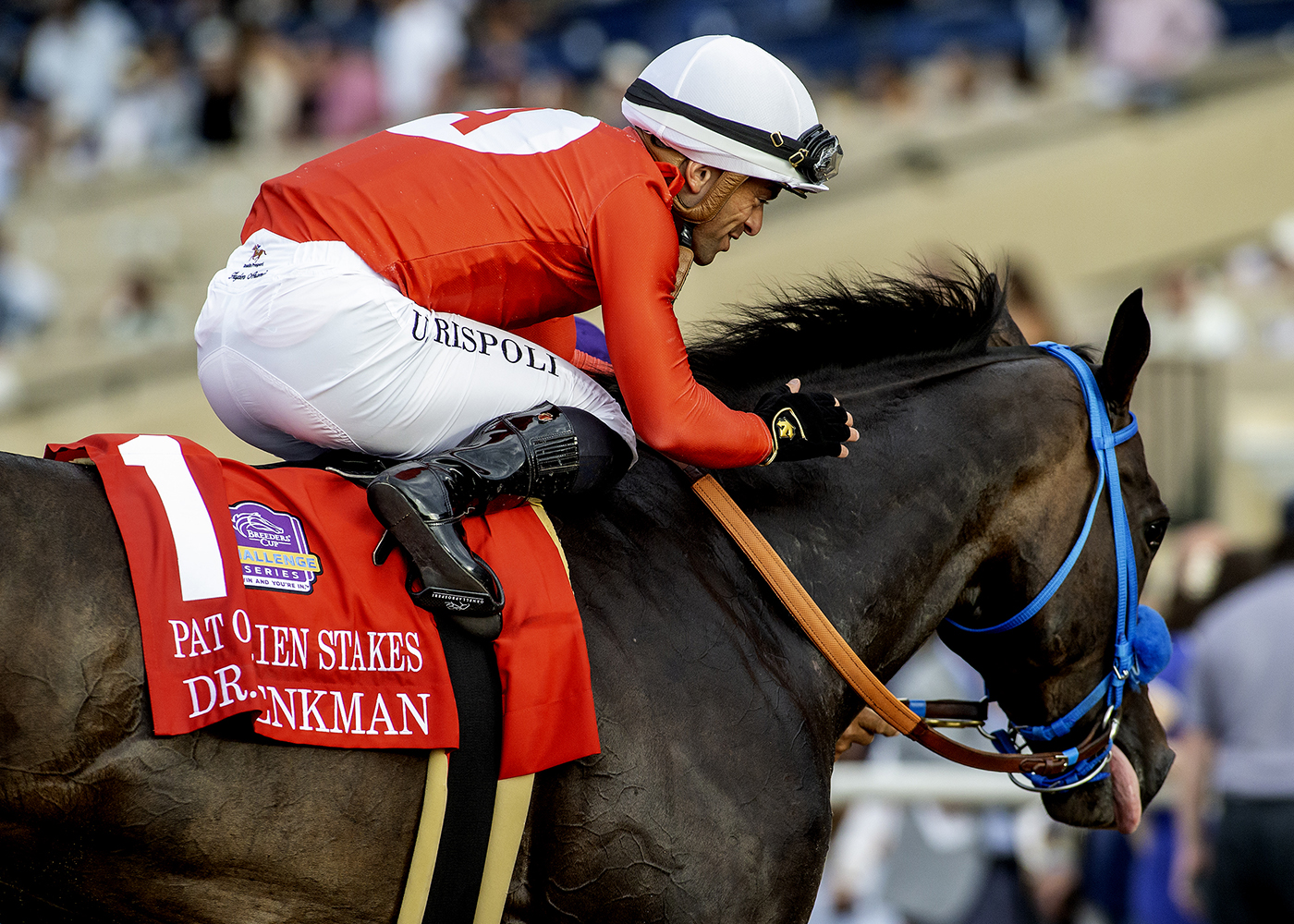 Dr. Venkman works five furlongs for Breeders' Cup Sprint