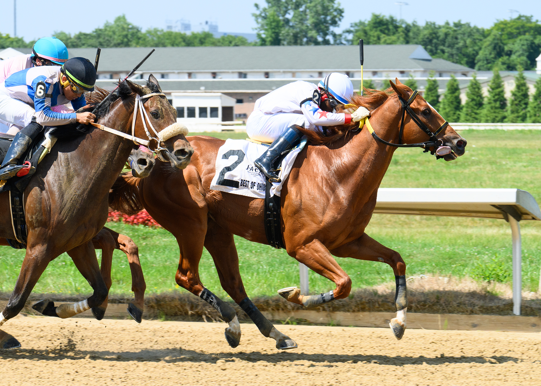 Mahoning Valley Race Course: Horse Racing Schedule & Track News